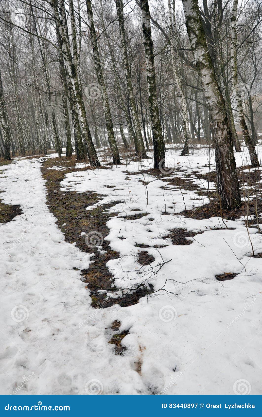 The March spring thaw stock image. Image of march, travel - 83440897