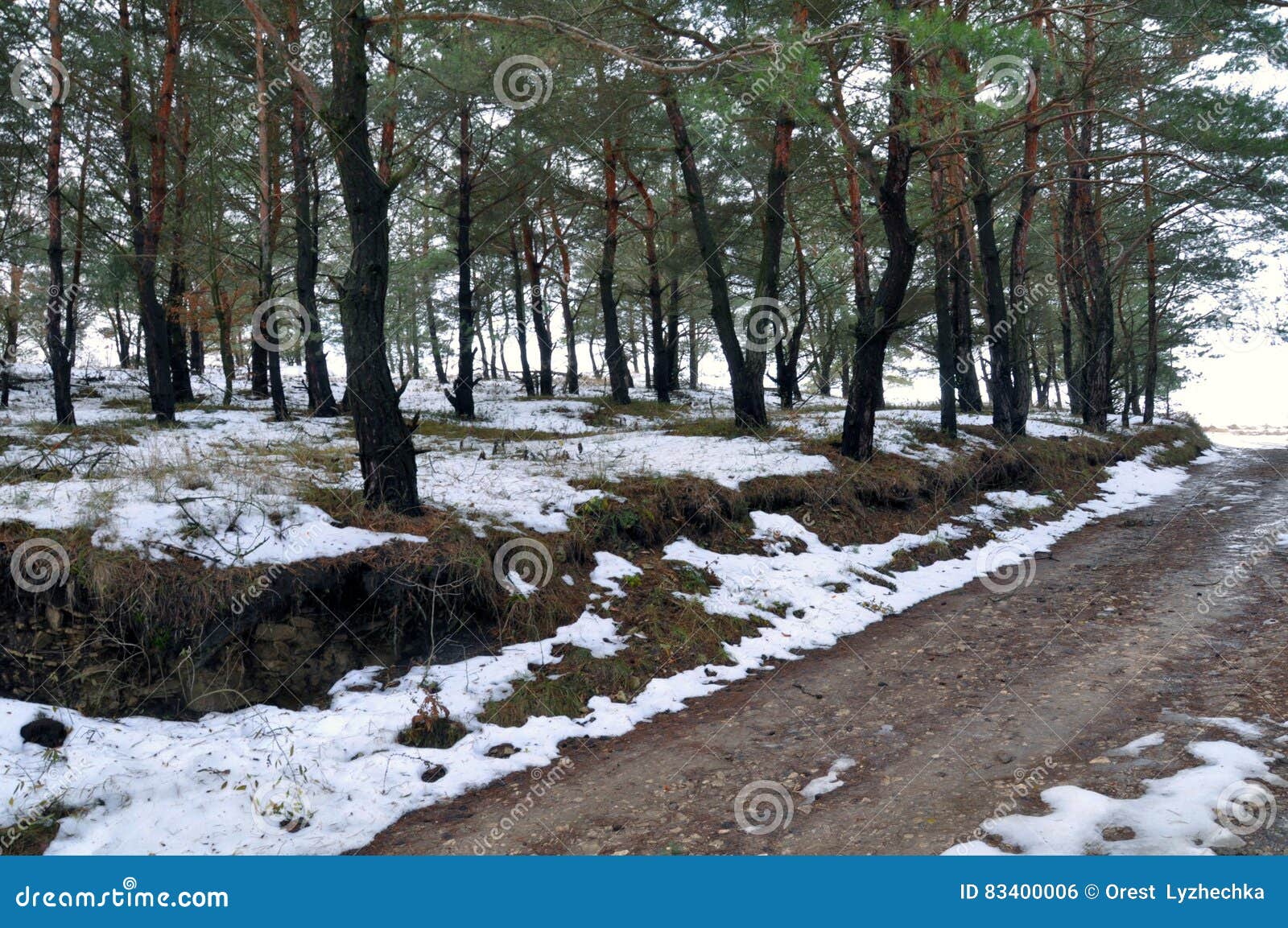 The March spring thaw_7 stock photo. Image of clear, grass - 83400006