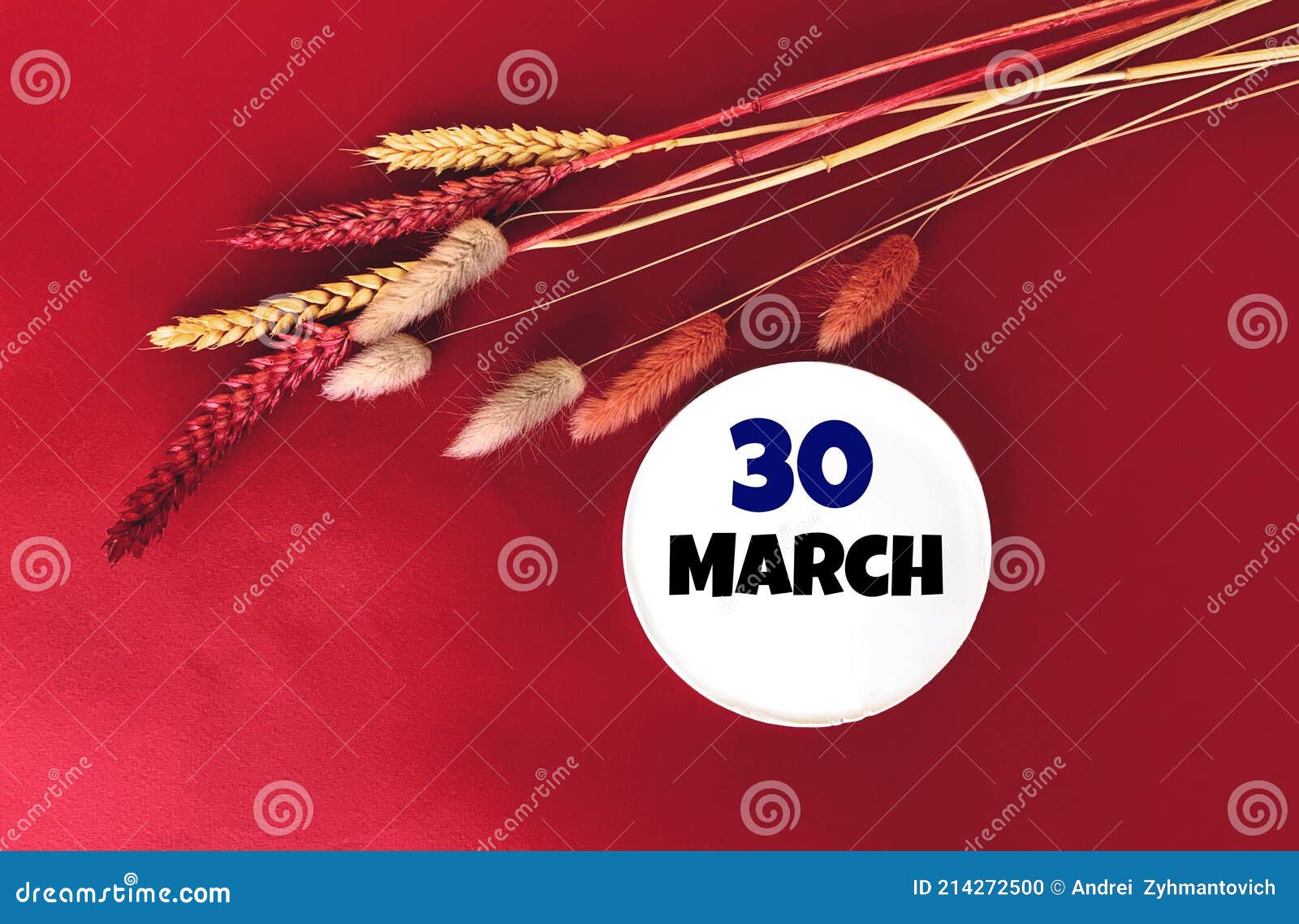 March 30 on a White Round Object .Next To it are Sprigs of Wheat on a ...