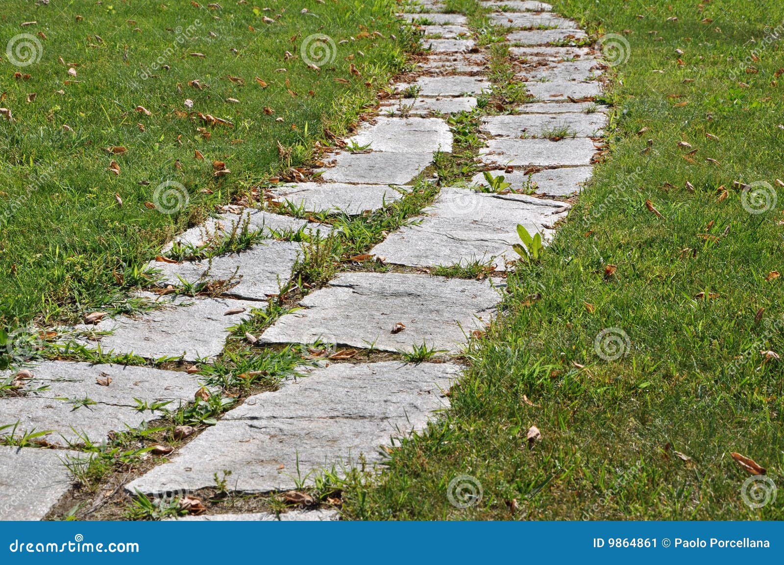 Marche Sur Un Jardin En Pierre De Chemin Image stock - Image du ...