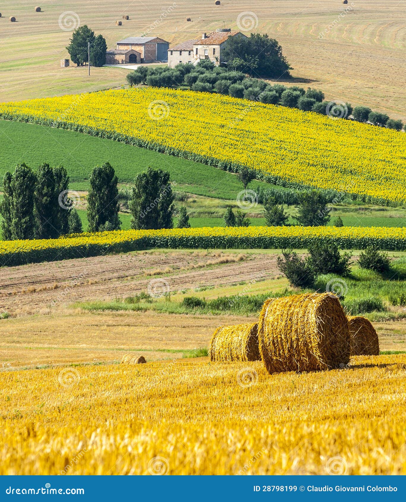 Marches (Italy) - Farm stock image. Image of nature, farmhouse - 28798199