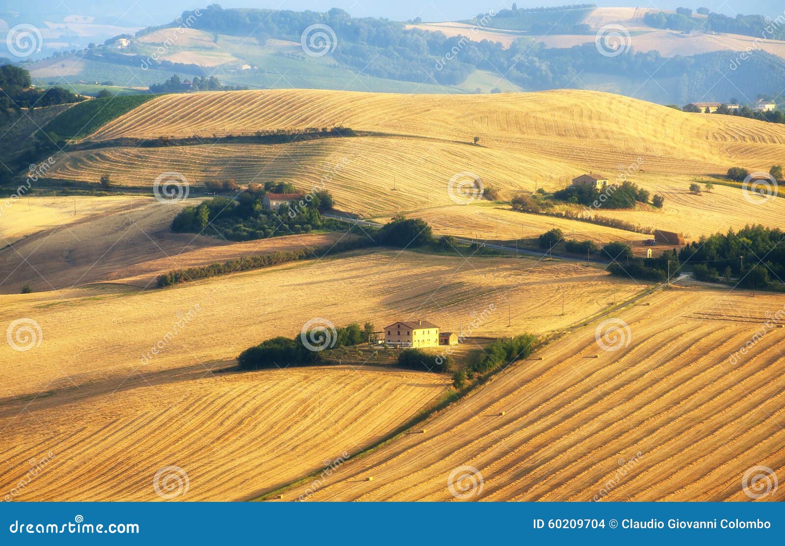 Marches (Italy) - Landscape at Summer, Farm Stock Photo - Image of ...