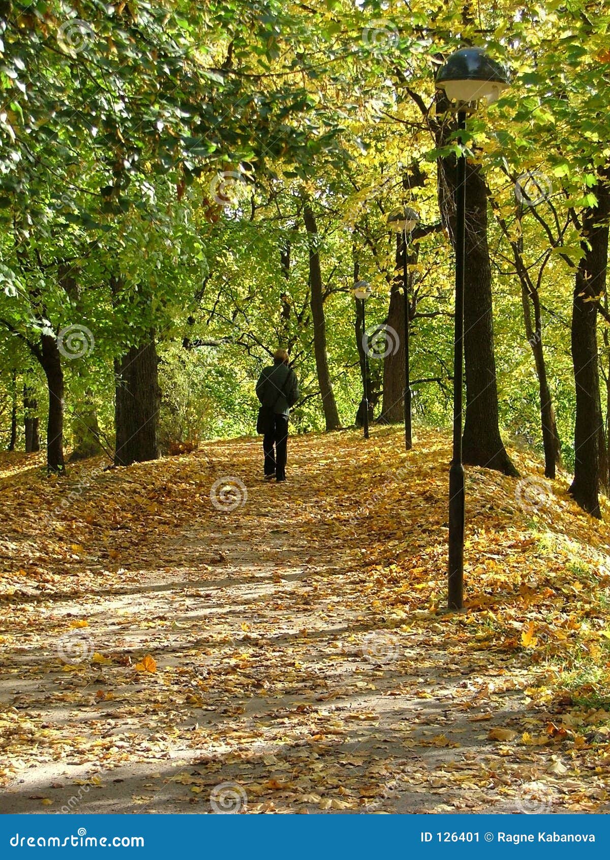 Marcheur seul image stock. Image du seul, forêt, silhouette - 126401