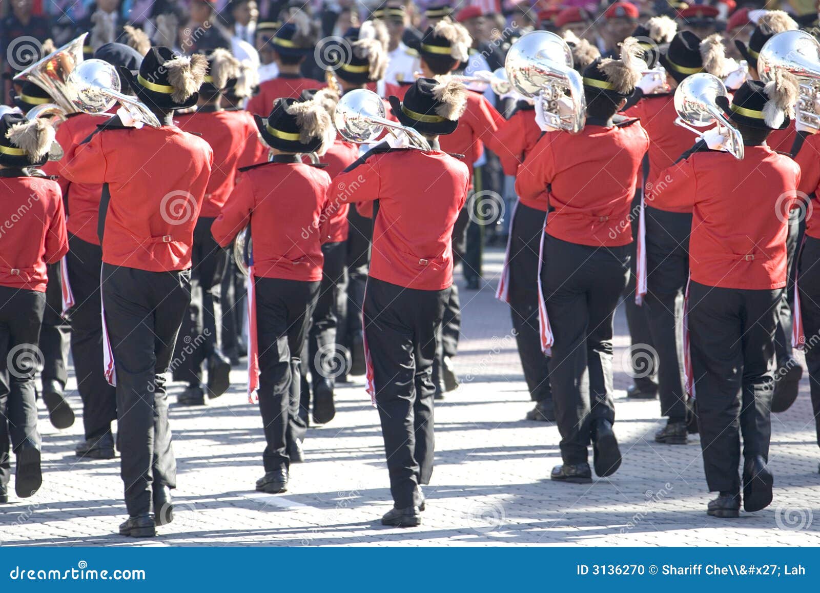 Marching Band stock photo. Image of march, flute, guard - 3136270
