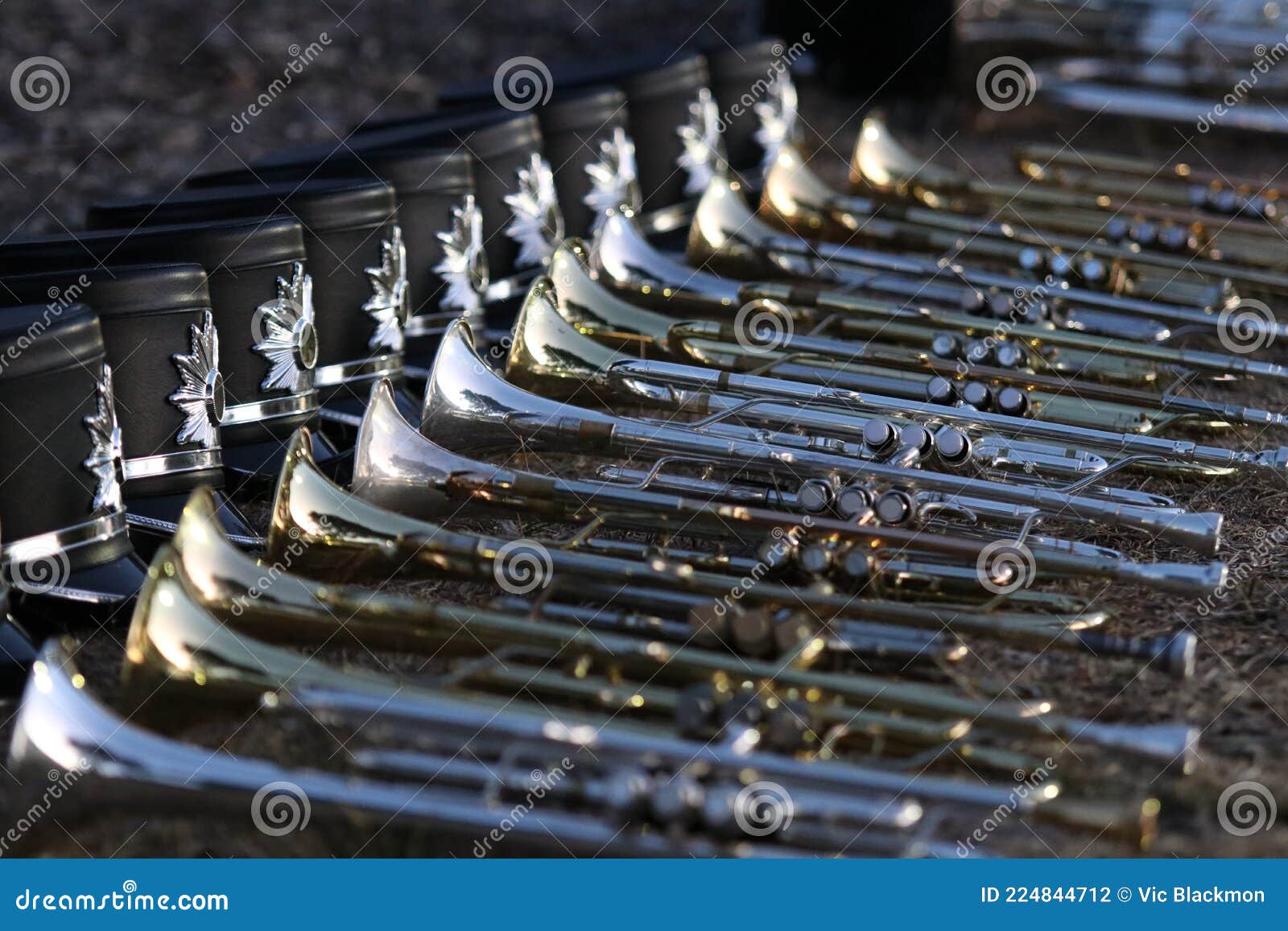 Marching Band Shako and Trumpets, Color Stock Photo - Image of tree ...