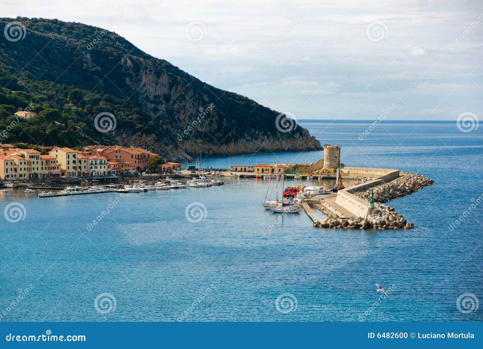 Marciana Marina Harbour, Isle of Elba, Stock Photo - Image of elba ...
