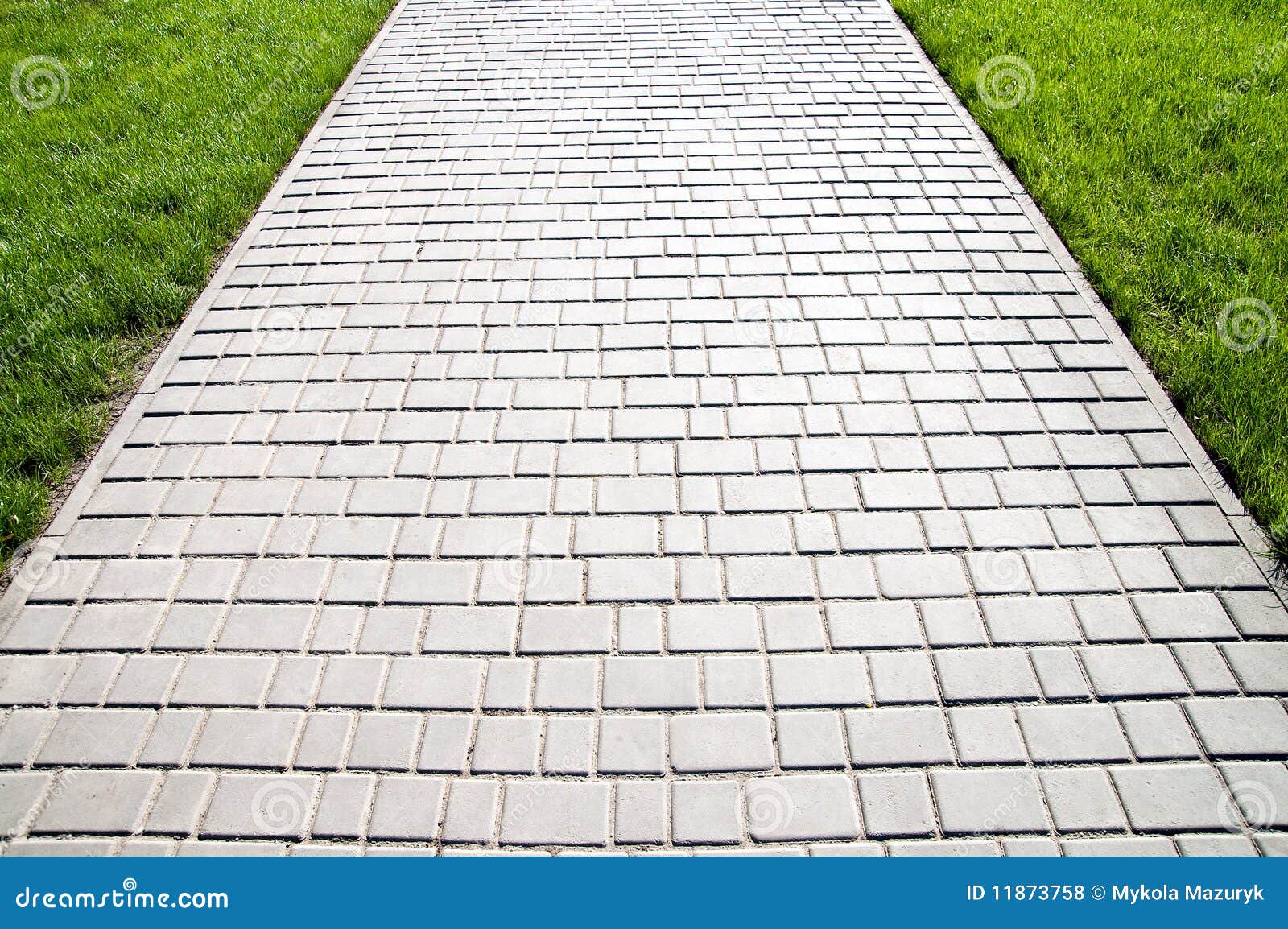 Marciapiede grigio fotografia stock. Immagine di foglio - 11873758