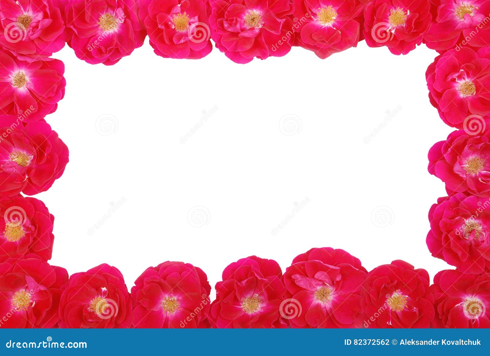 Marco color de rosa foto de archivo. Imagen de fondos - 82372562