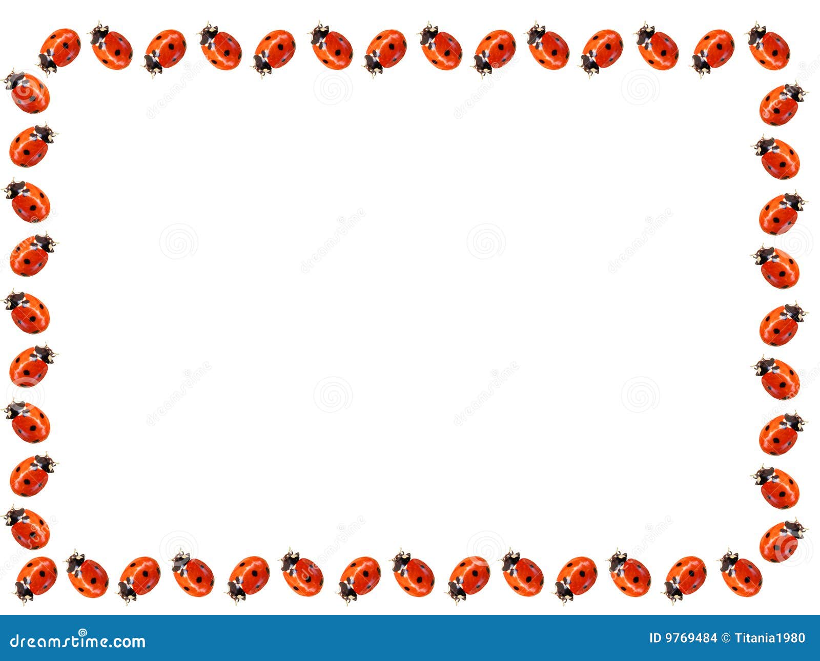 Marco de los Ladybugs foto de archivo. Imagen de rojo - 9769484