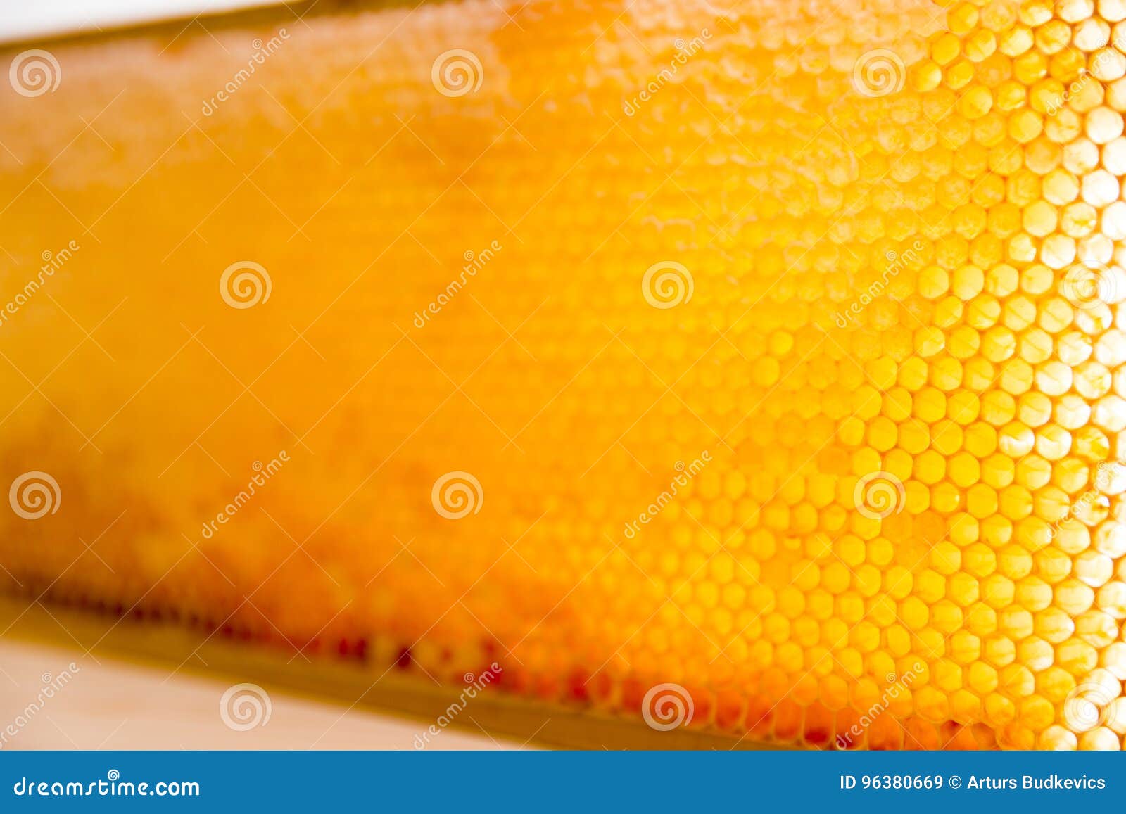 Marco De Madera Con El Panal Lleno De Miel Textura Imagen de archivo ...