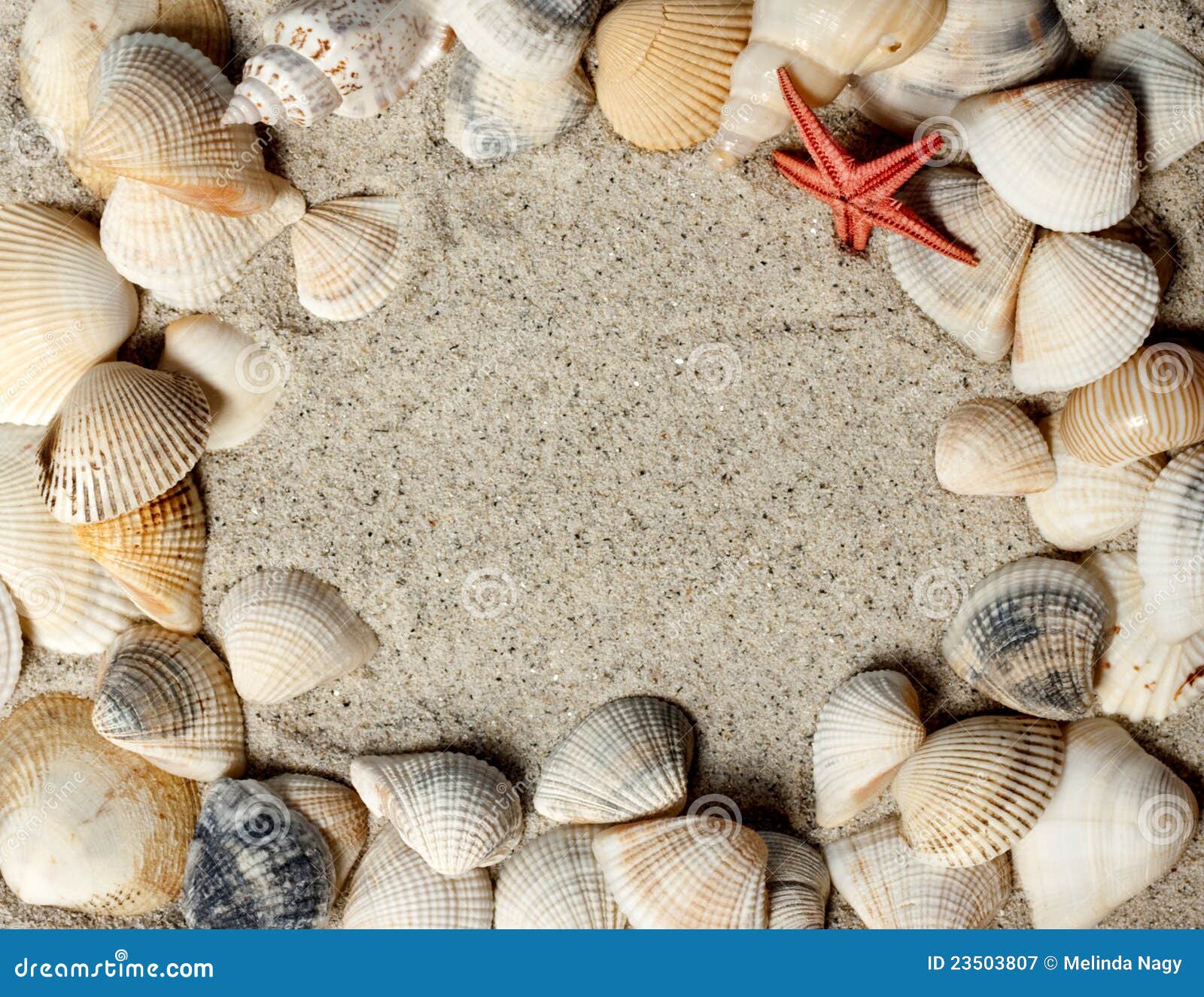 Marco Del Seashell En Arena Imagen de archivo - Imagen de nazarene ...