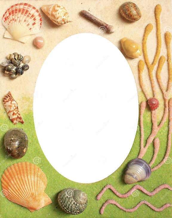 Marco del shell foto de archivo. Imagen de concha, hermoso - 14620516