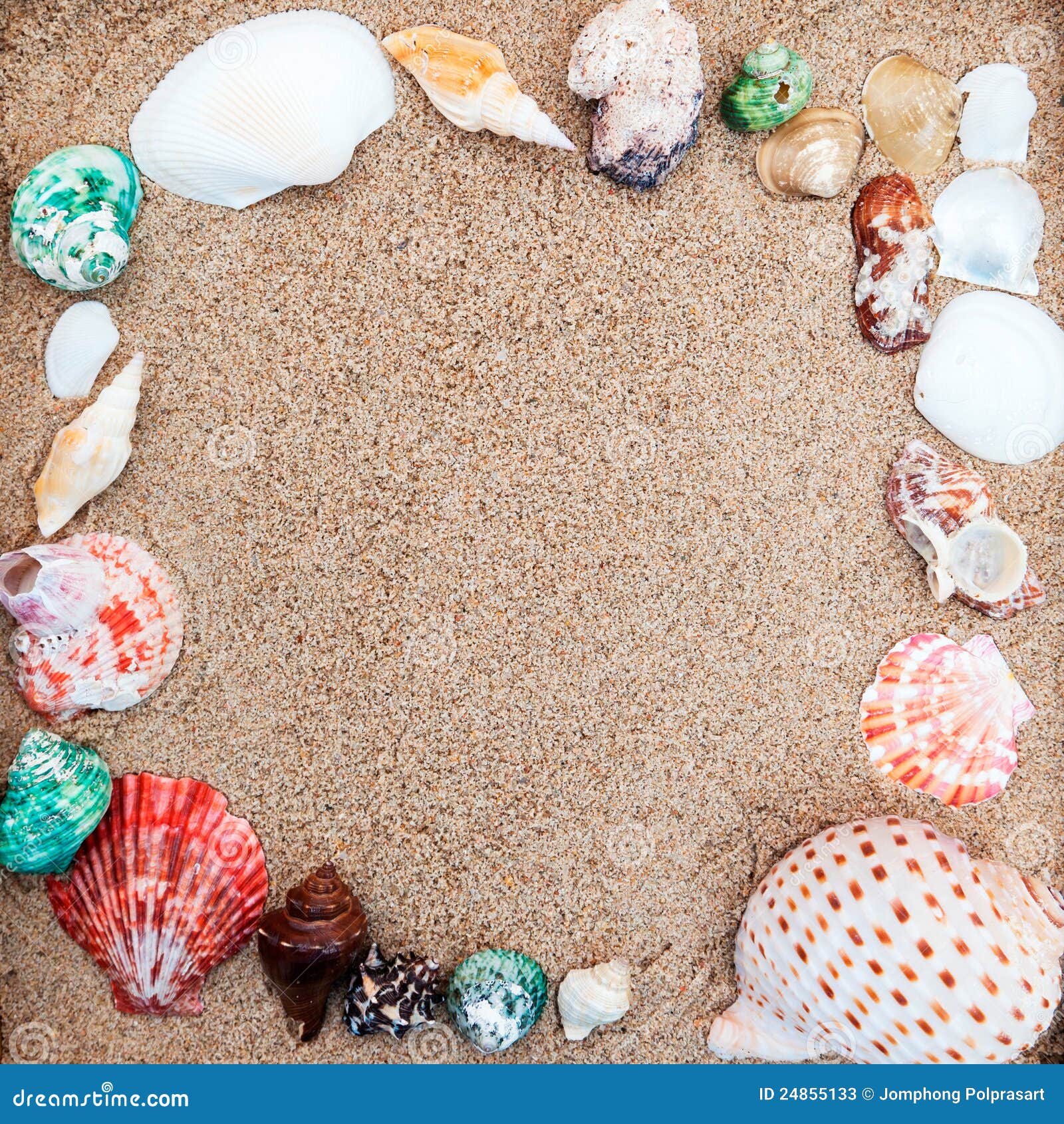 Marco del shell imagen de archivo. Imagen de sano, marina - 24855133