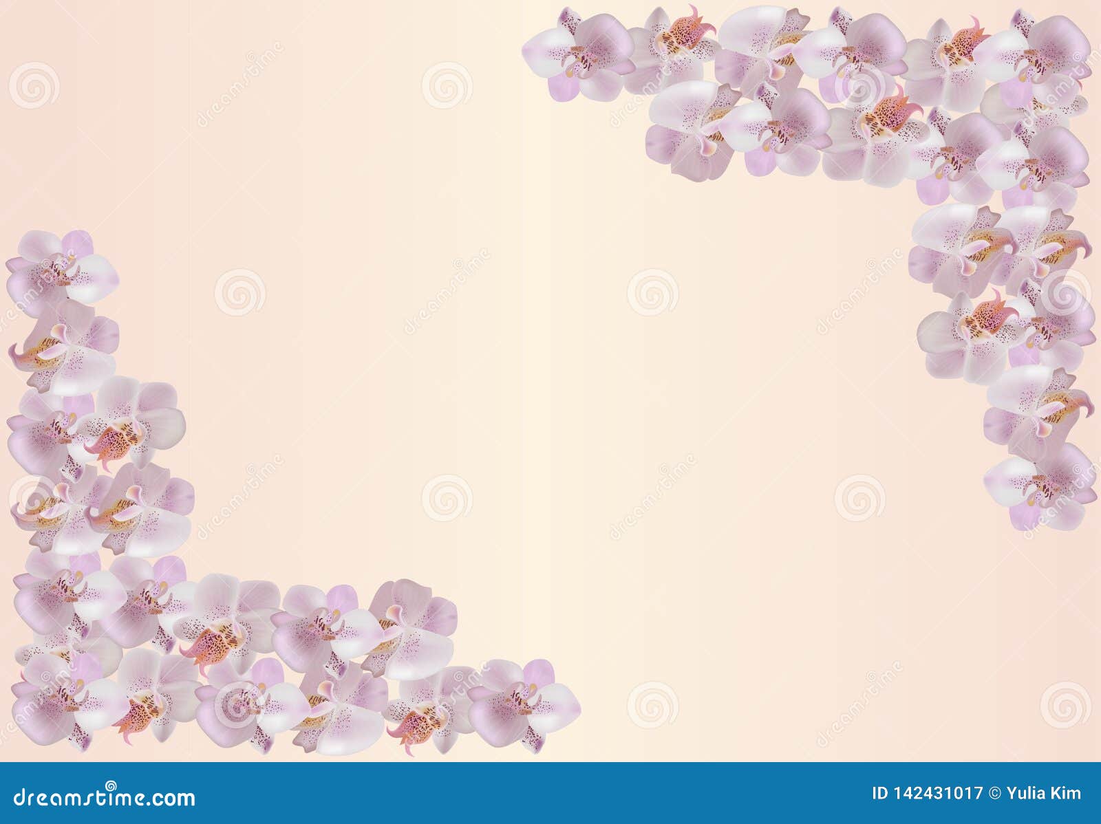 Marco Del Vector Con Las Orqu?deas Apacibles Ilustración del Vector ...
