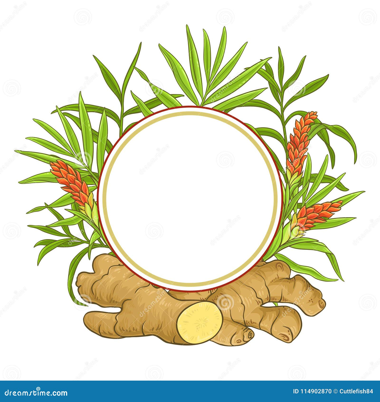 Marco Del Vector Del Jengibre Ilustración del Vector - Ilustración de ...