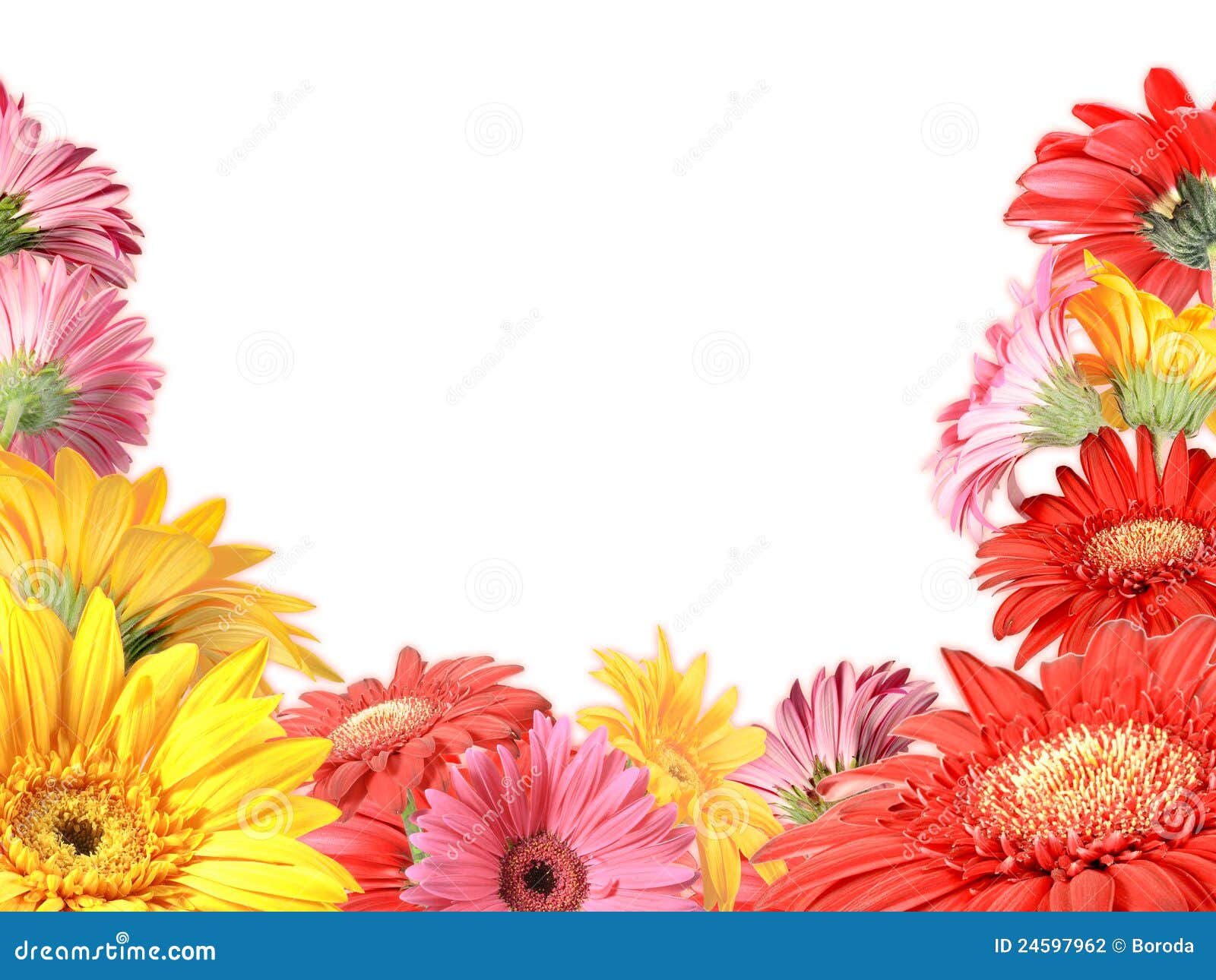 Marco Floral Con Las Flores Multicolores Foto de archivo - Imagen de ...