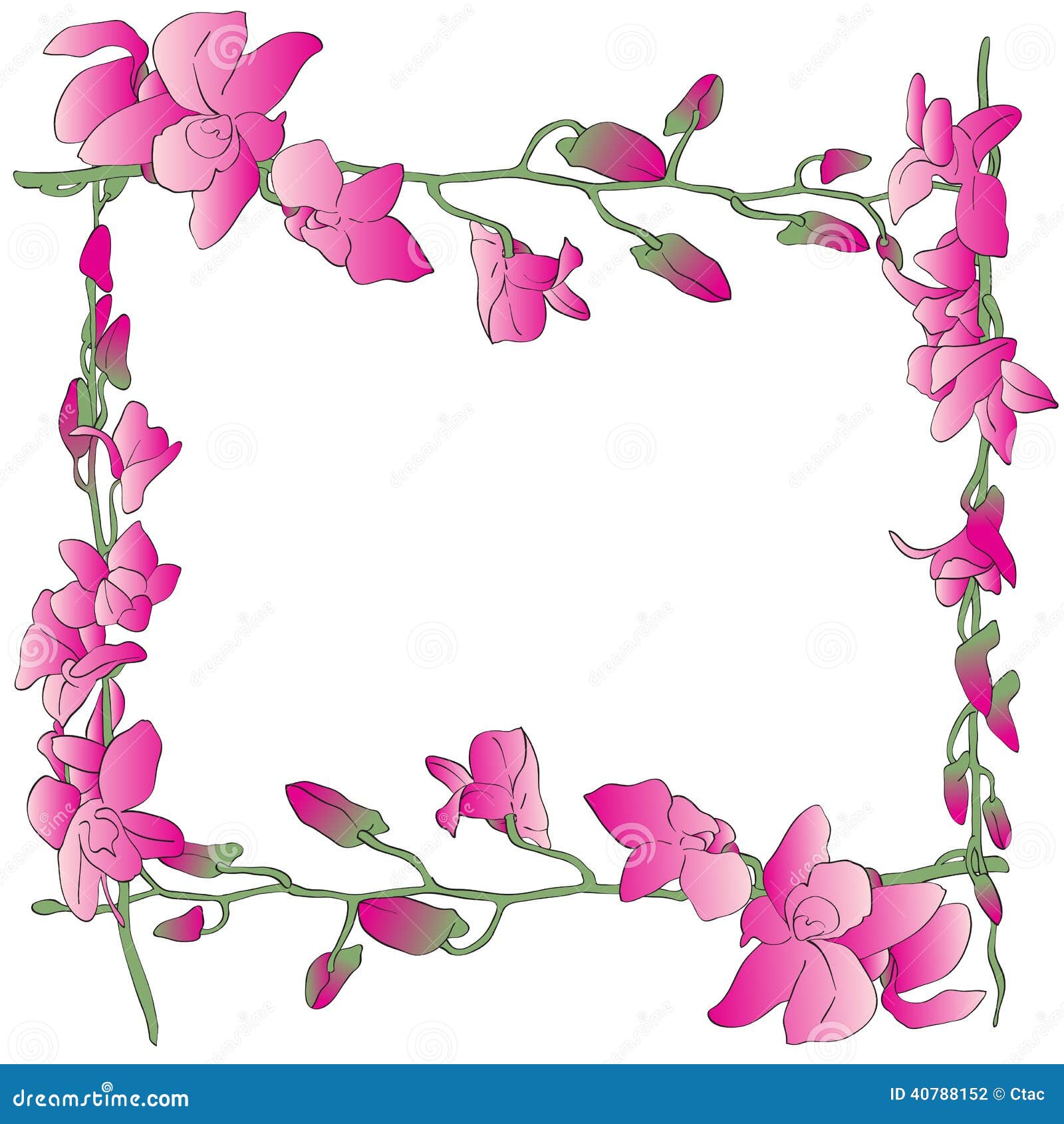 Marco Largo De Las Orquídeas Stock de ilustración - Ilustración de ...