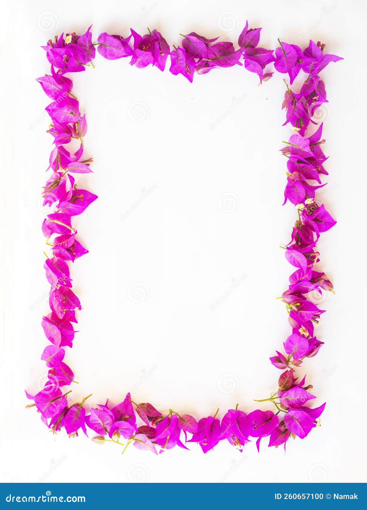 Marco Rectangular De Flores Rosas Sobre Fondo Blanco. Plantilla ...