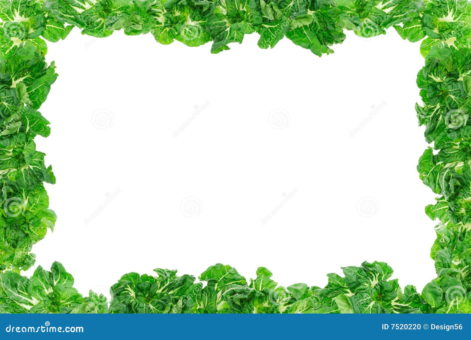 Marco vegetal stock de ilustración. Ilustración de floral - 7520220