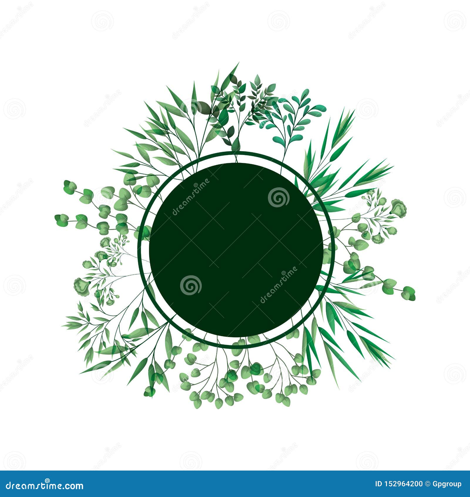 Marco Verde Con Las Ramas Y Las Hojas Ilustración del Vector ...