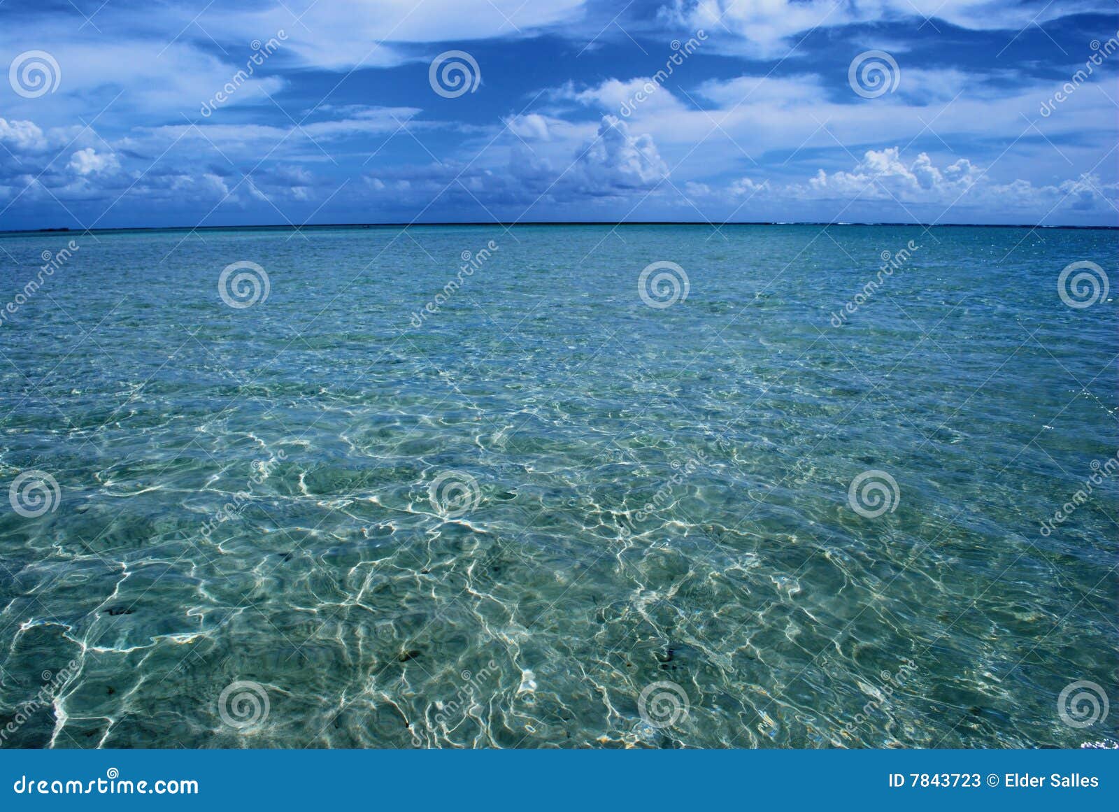 Mare Libero Cristallino in Maragogi, Brasile Immagine Stock - Immagine ...