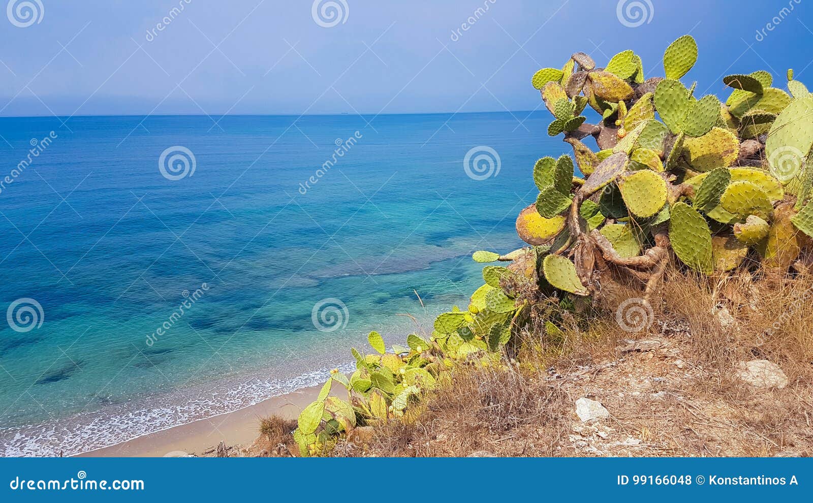 Mare Prevesa Del Fico D'India Fotografia Stock - Immagine di fresco ...
