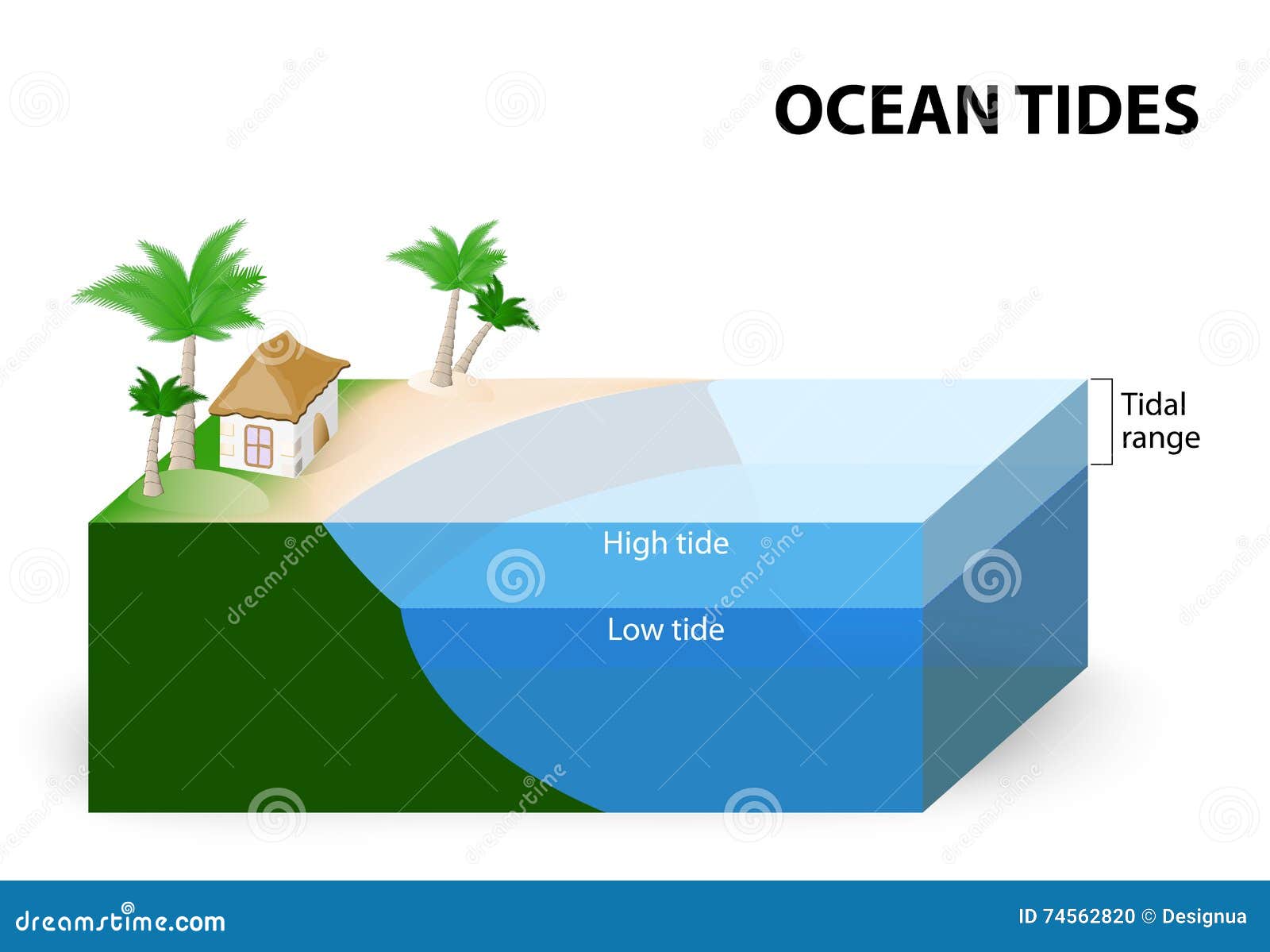 Mareas del océano ilustración del vector. Ilustración de diferencia ...