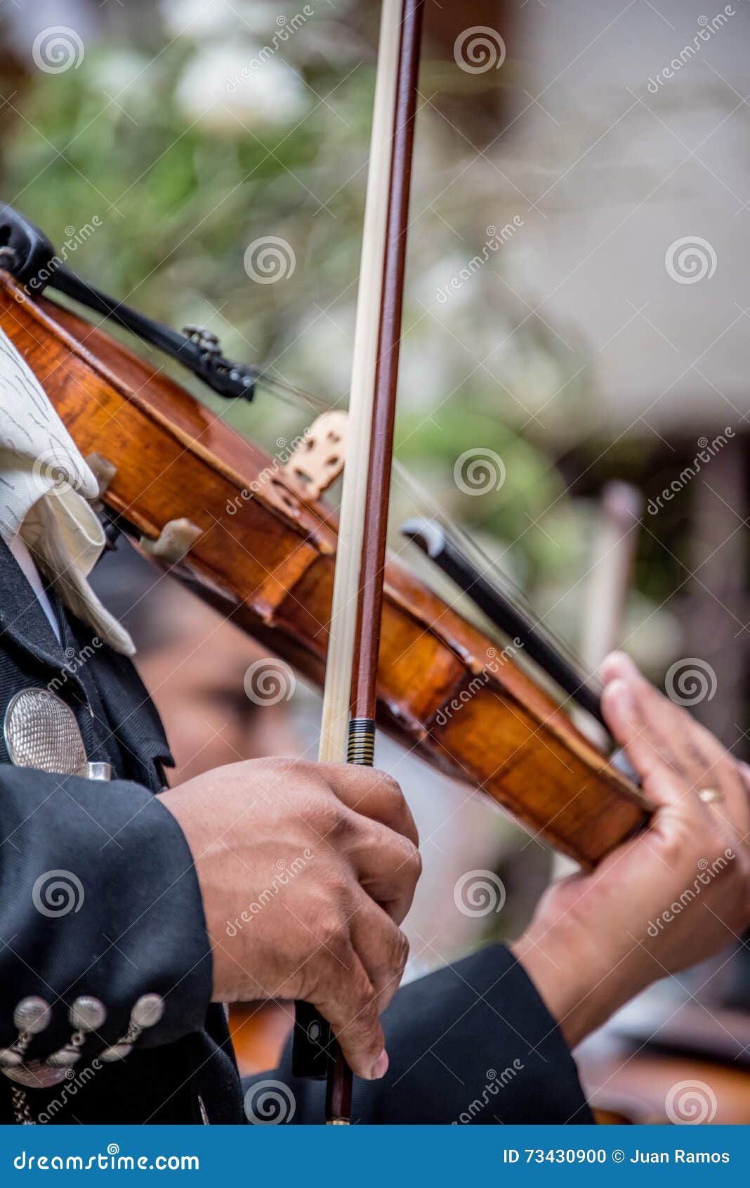 Mariachi stock photo. Image of hispanic, tradition, culture - 73430900
