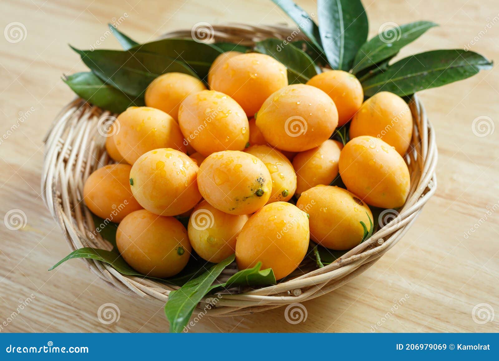 Lat: `Bouea Macrophylla`. Marian Plum, Gandaria, Mayongchid, Maprang ...