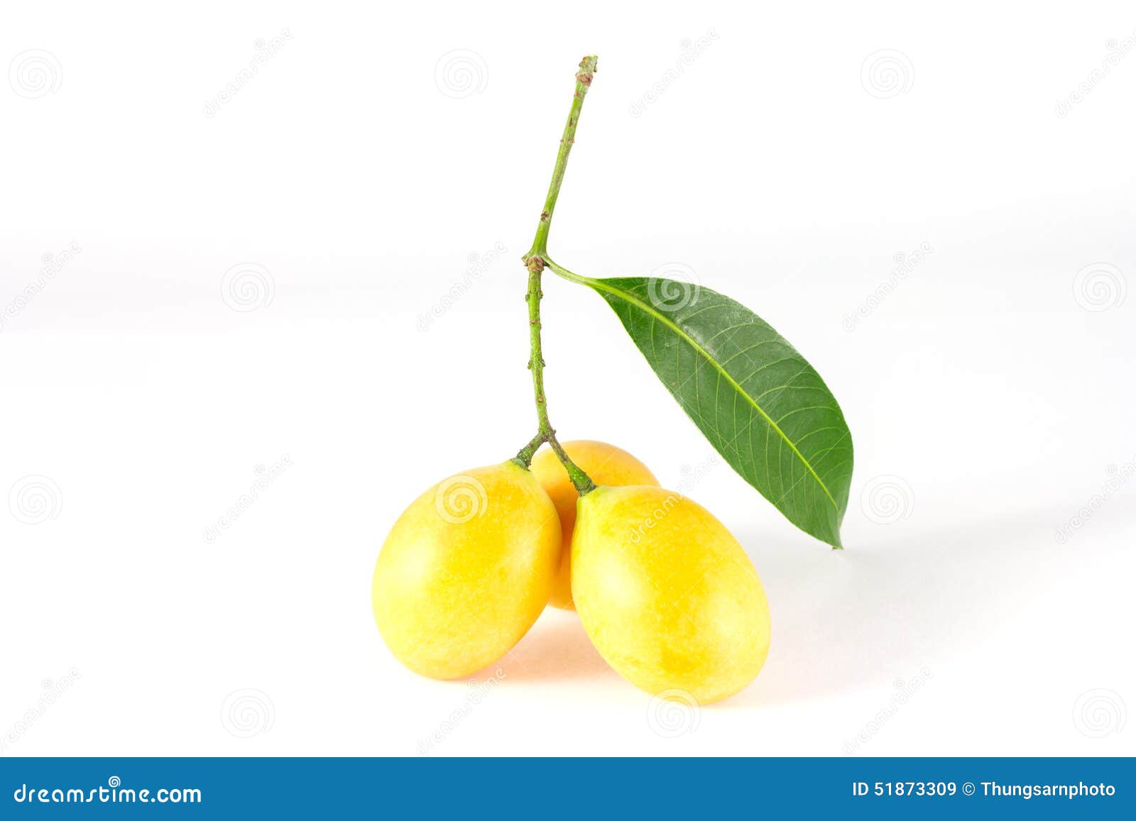 Marian Plum , Plum Mango or Bouea Macrophylla Griffith Stock Image ...