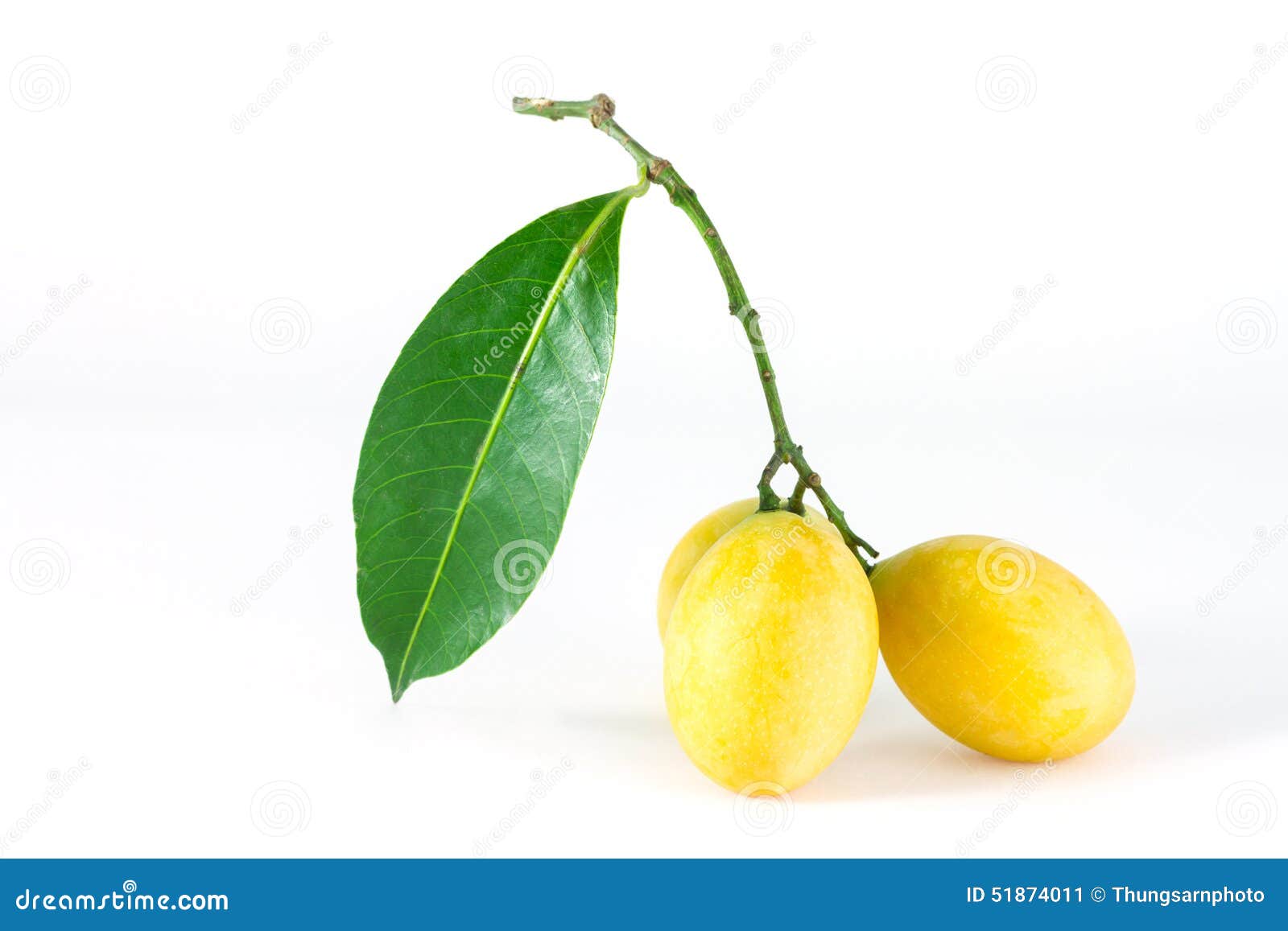 Marian Plum , Plum Mango or Bouea Macrophylla Griffith Stock Image ...
