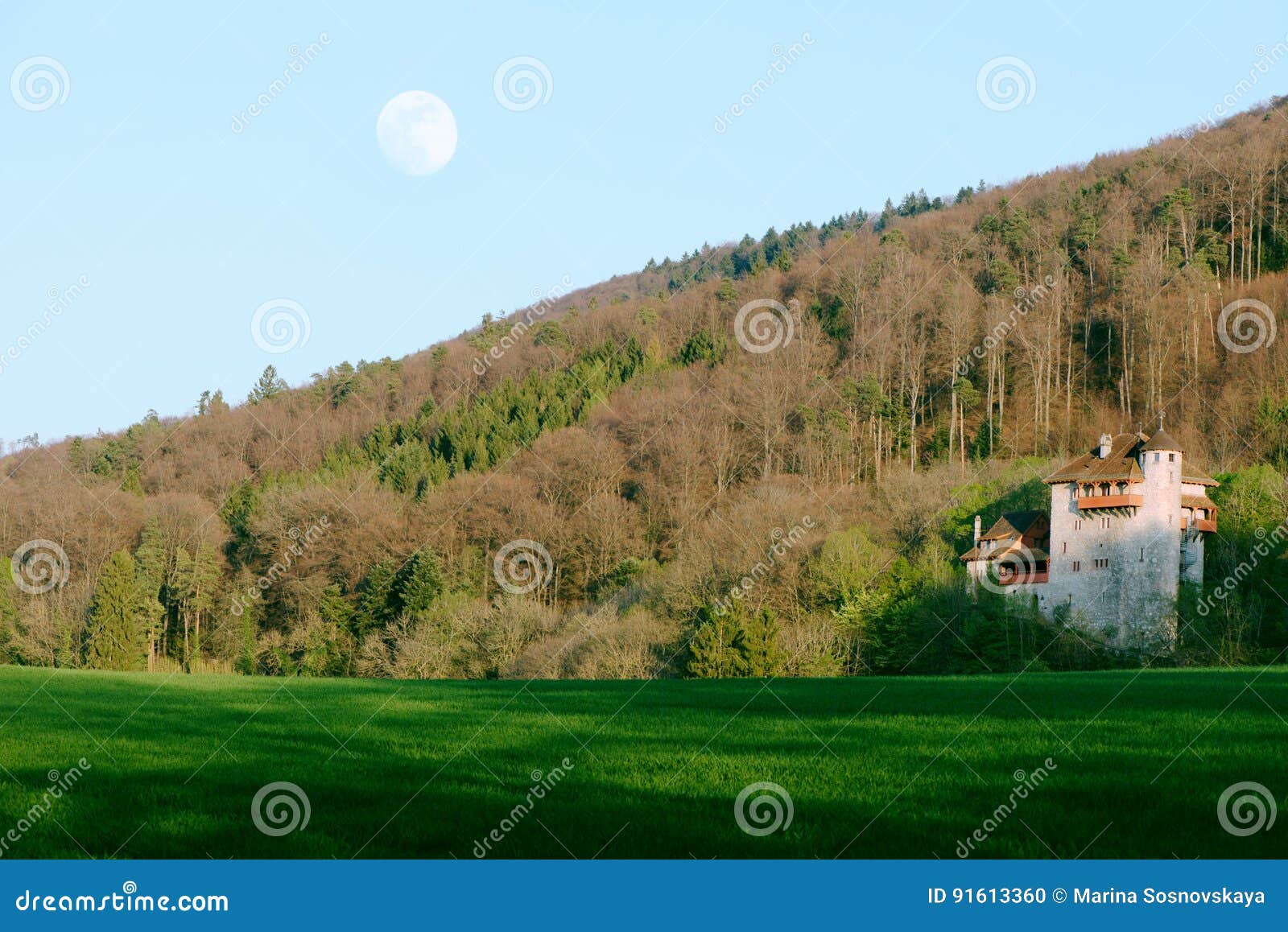 Rotberg Castle Stock Photos - Free & Royalty-Free Stock Photos from ...