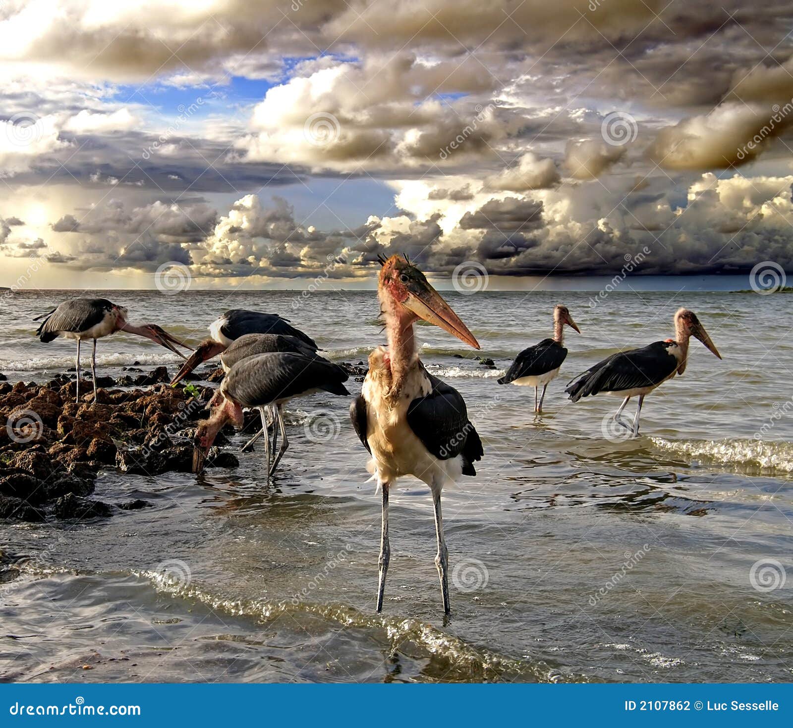 Maribu stock photo. Image of water, lake, sombre, stormy - 2107862