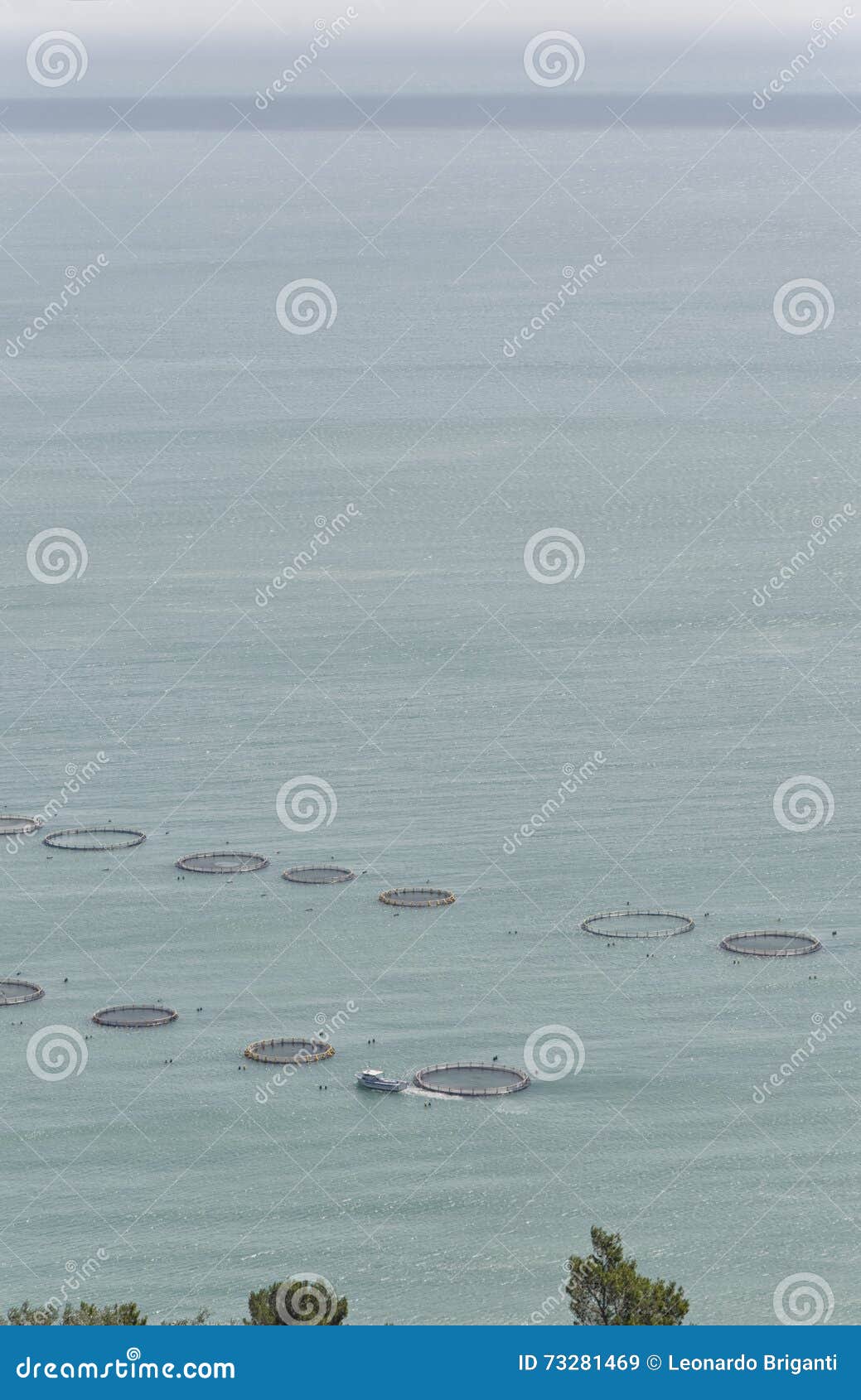 Mariculture in the Mediterranean Sea Stock Image - Image of farming ...