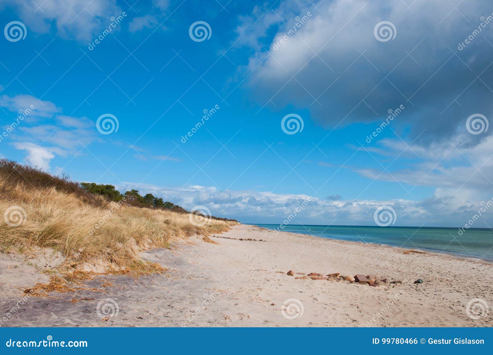 Marielyst beach in Denmark stock photo. Image of seascape - 99780466