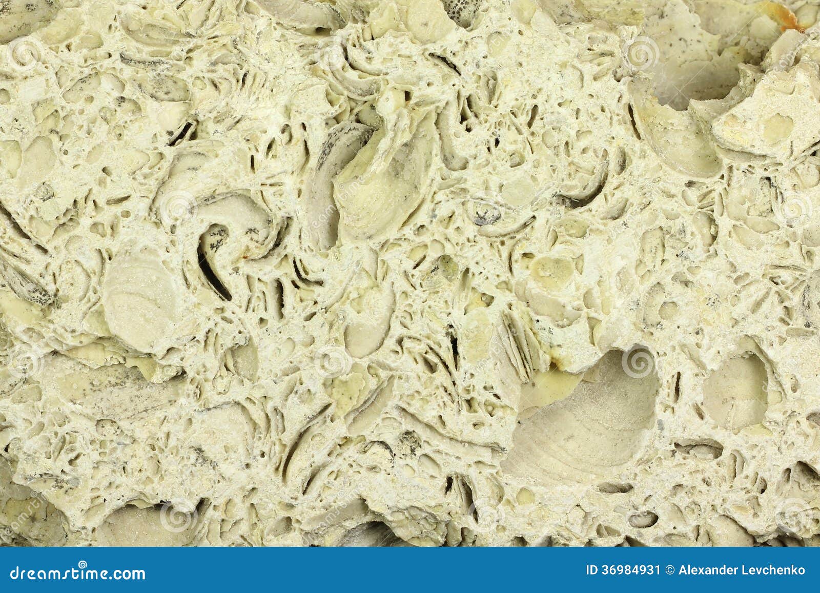 Marien kalksteen stock afbeelding. Image of pluizig, geologie - 36984931