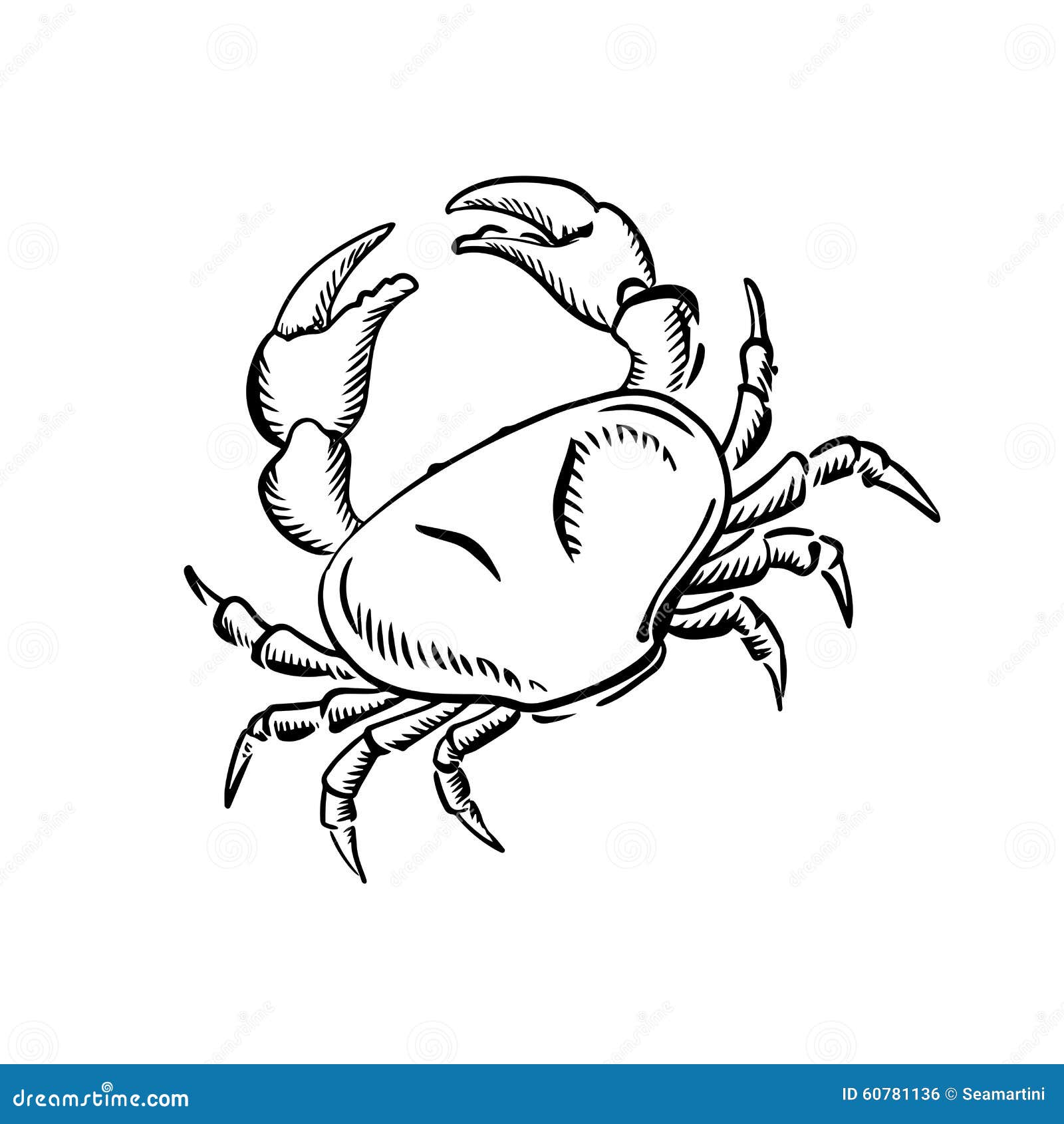 Mariene Krab Met Grote Klauwen, Schets Vector Illustratie ...