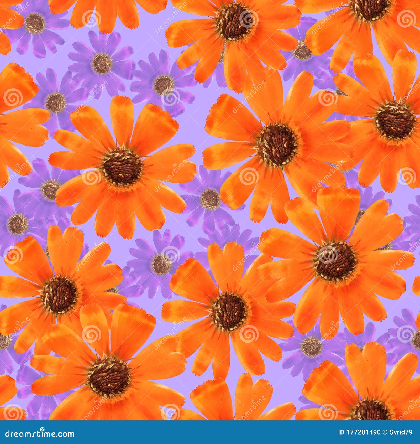 Marigold, Calendula. Illustration, Texture of Flowers. Seamless Pattern ...