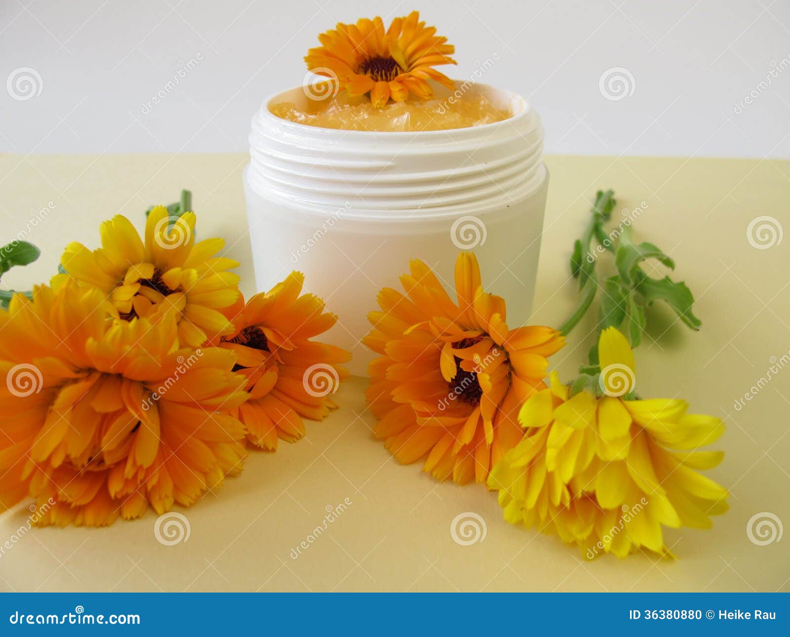 Marigold cream stock photo. Image of alternative, naturopathy - 36380880