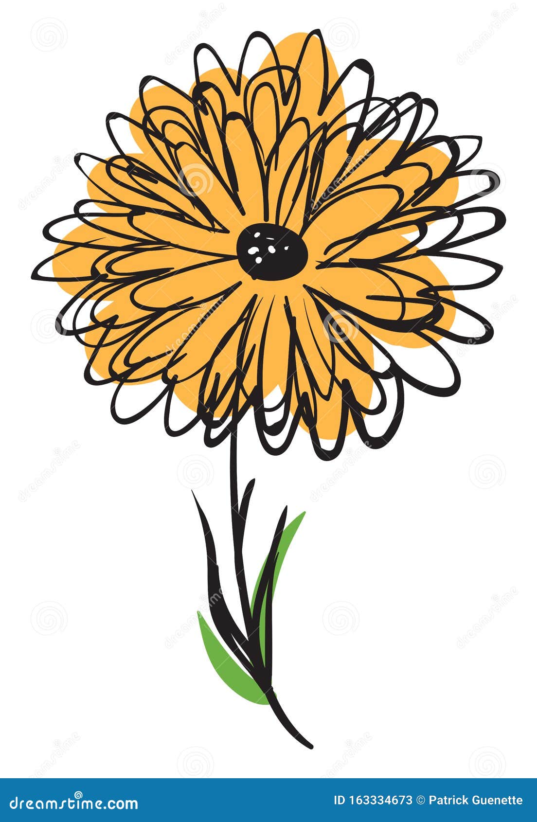 Marigold Drawing, Easy Marigold Flower Drawing Easy For Kids, Flower ...