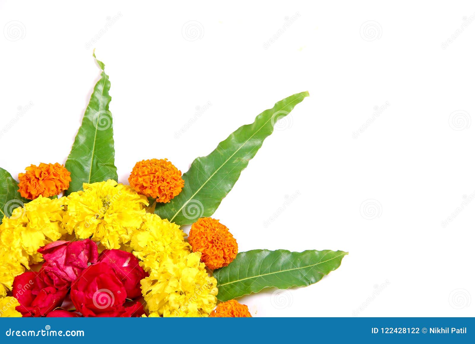 Marigold Flower Design , Marigold Flower Rangoli Design Stock Photo ...