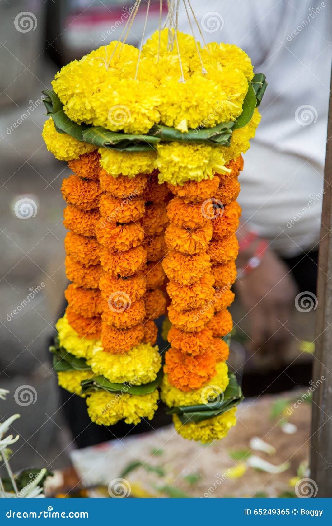 Marigold flower in Mumbai stock image. Image of traditional - 65249365