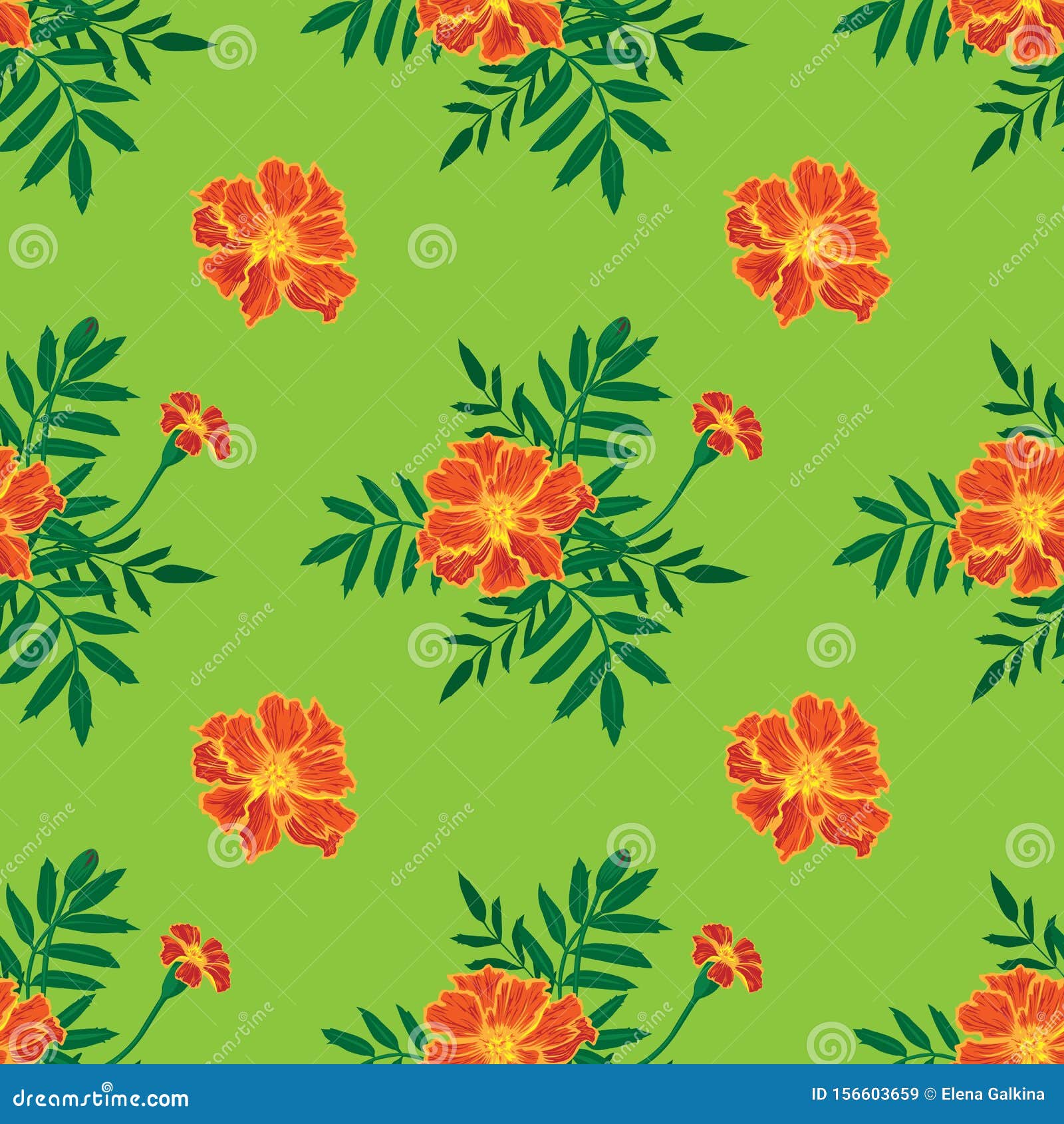 Marigold flower pattern stock vector. Illustration of decor - 156603659