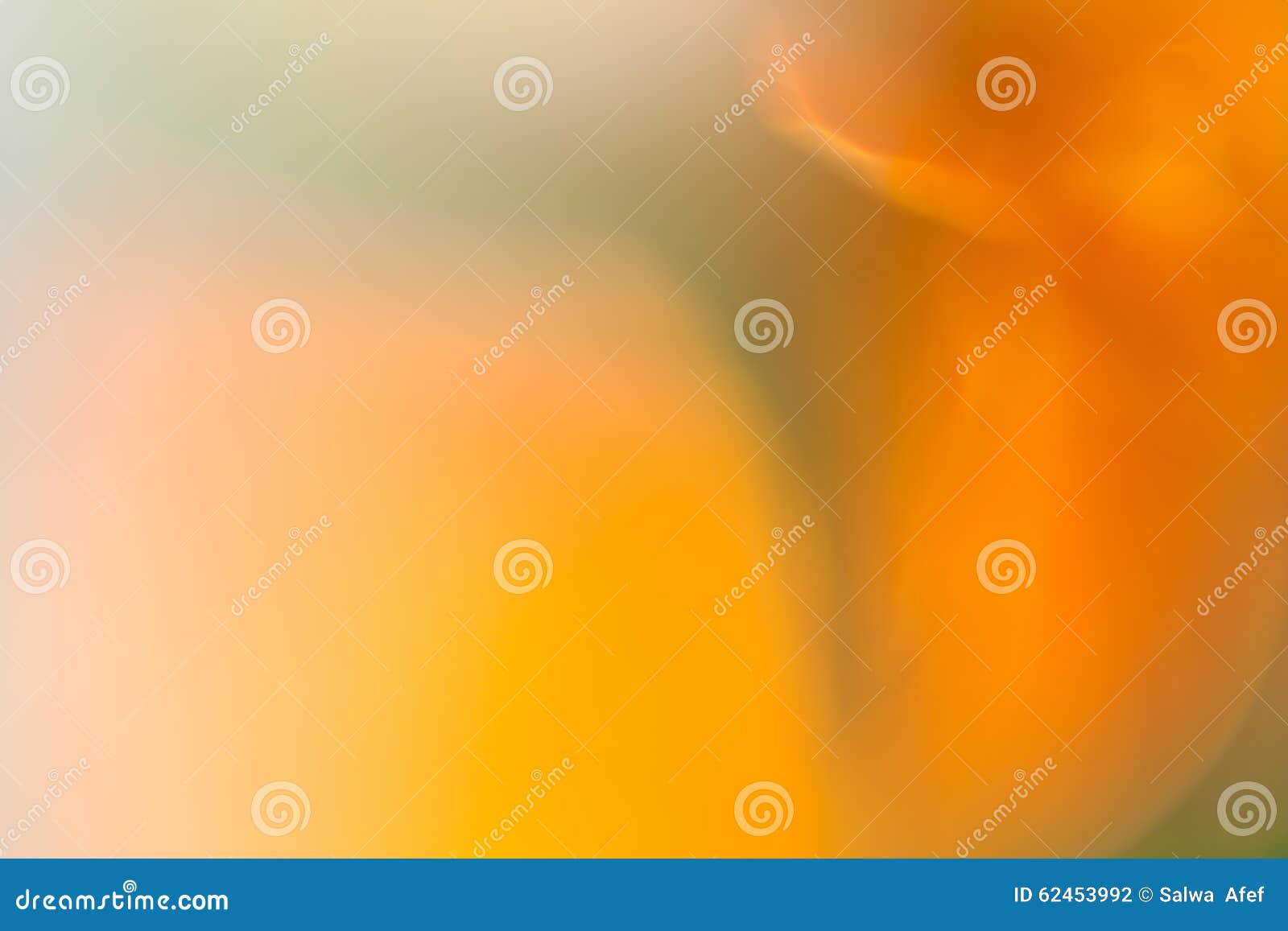 Marigold stock photo. Image of floral, orange, abstract - 62453992