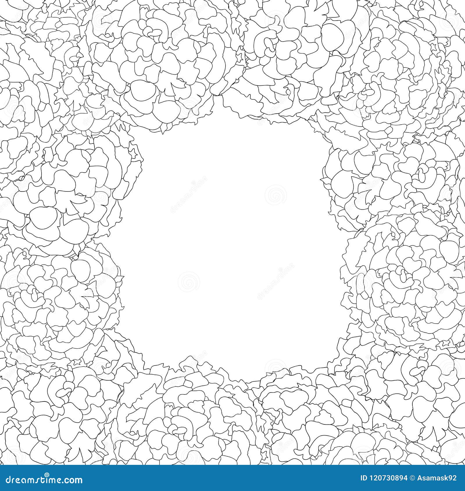 Marigold Outline Border Isolated on White Background. Vector ...