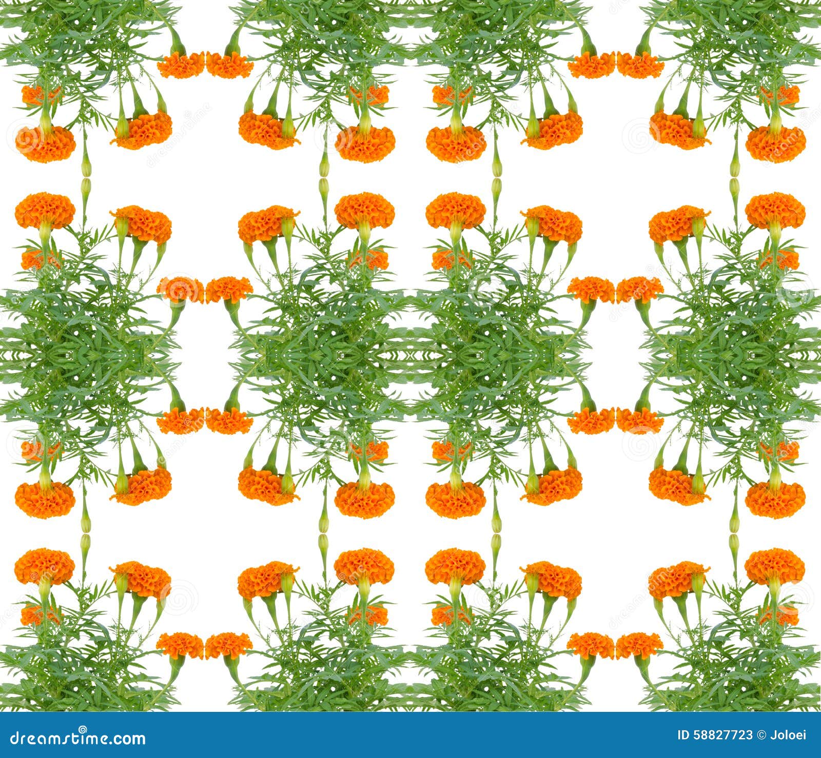 Marigold Seamless Pattern Background Stock Image - Image of tree ...