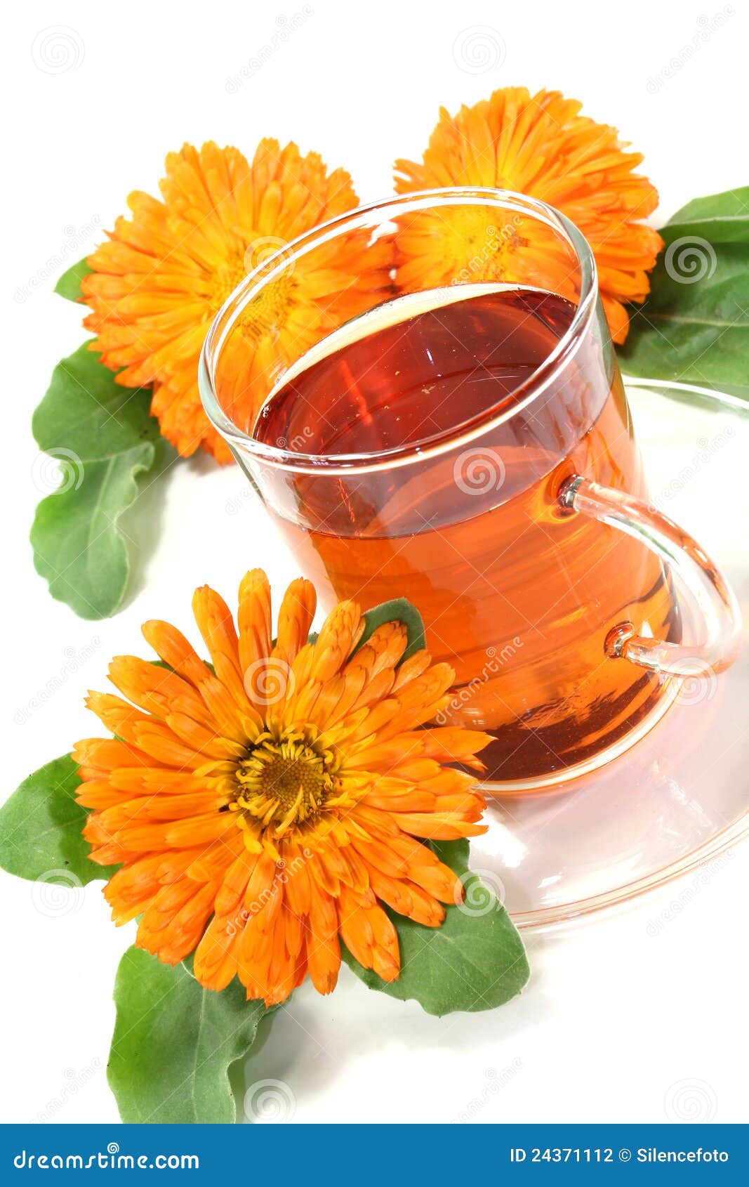Marigold tea stock photo. Image of calendula, naturopathy - 24371112