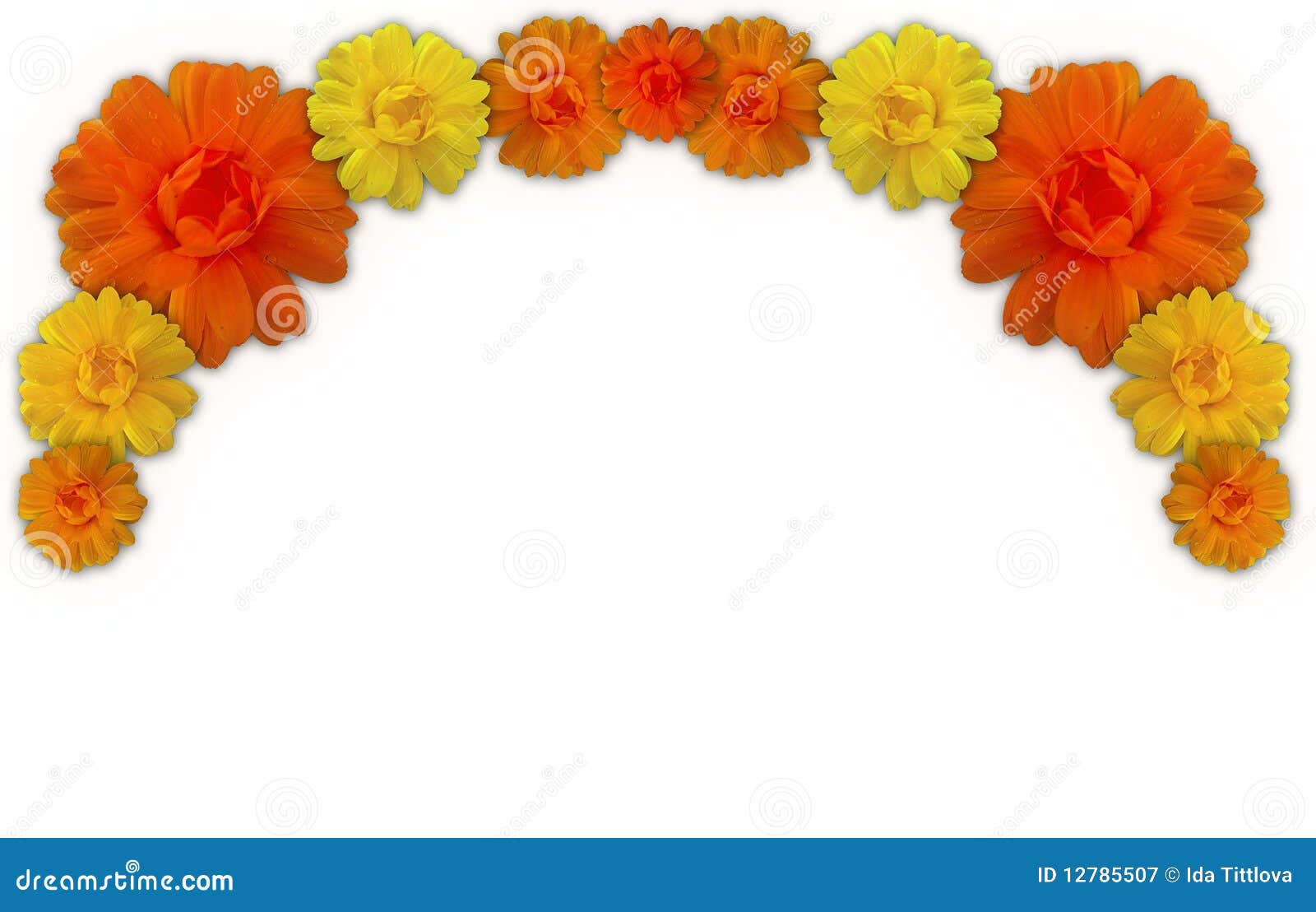 Marigolds Border Royalty Free Stock Photography - Image: 12785507