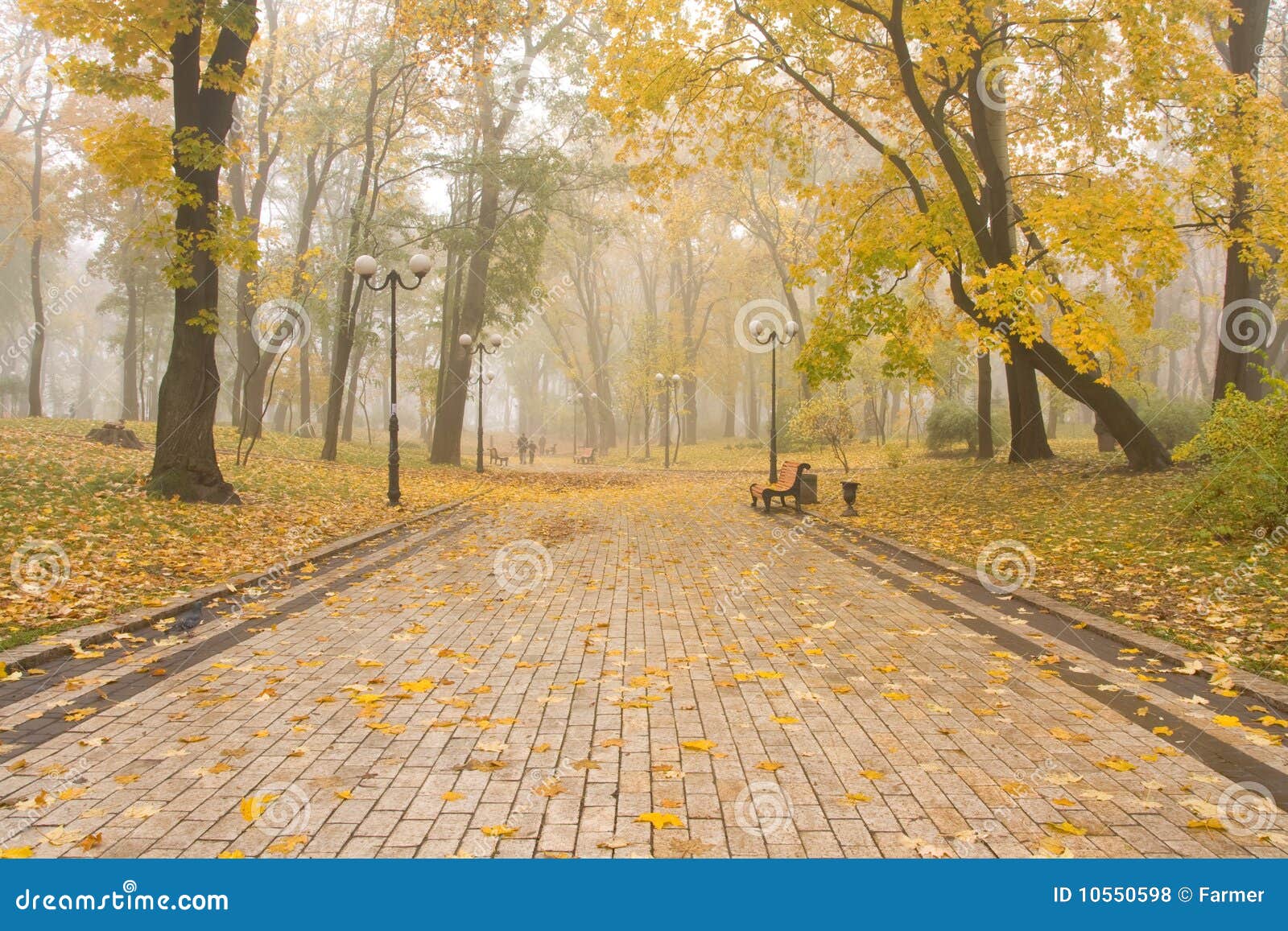 Mariinsky foggy park stock photo. Image of nature, november - 10550598
