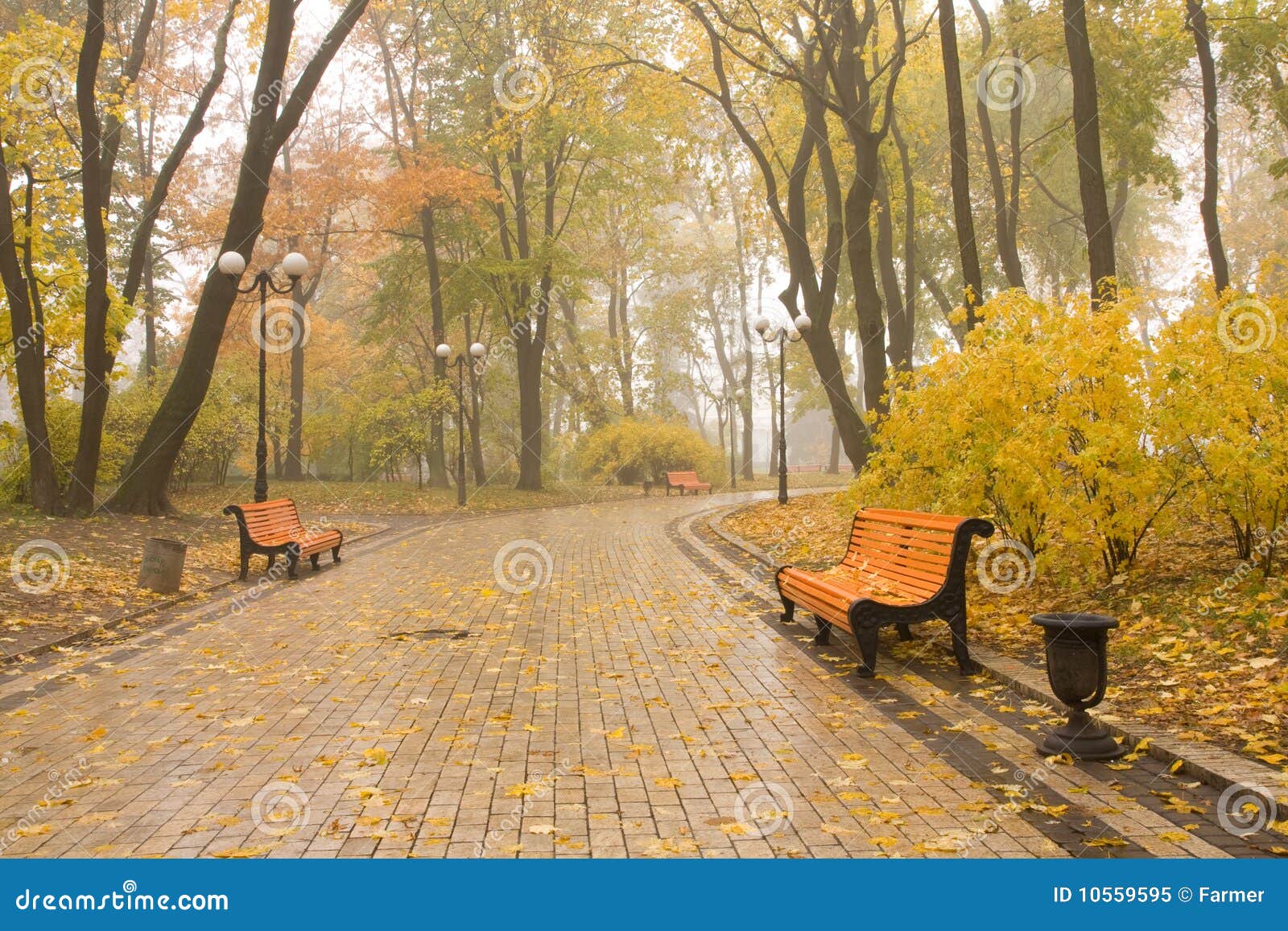 Mariinsky park stock image. Image of fall, tree, november - 10559595